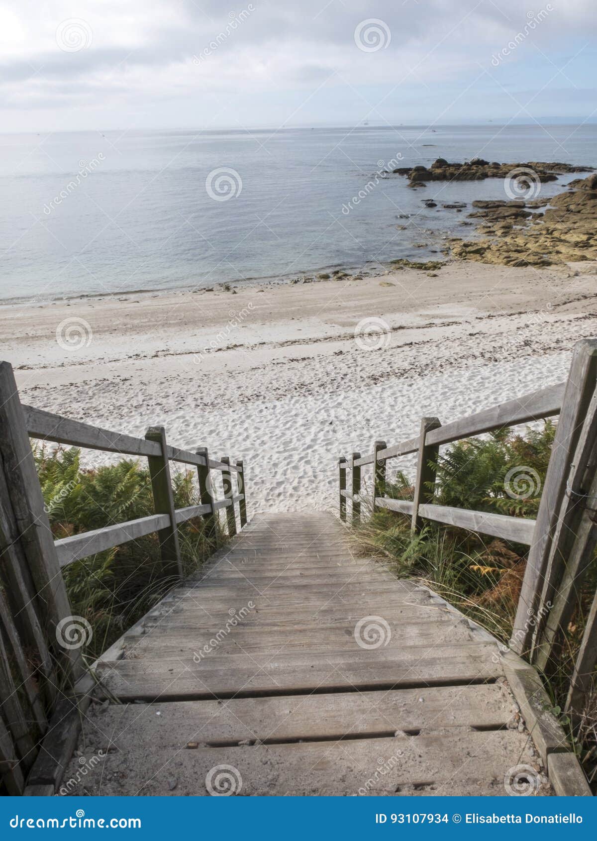 Wooden Ladder Access To the Beach Stock Photo - Image of step, sunset ...