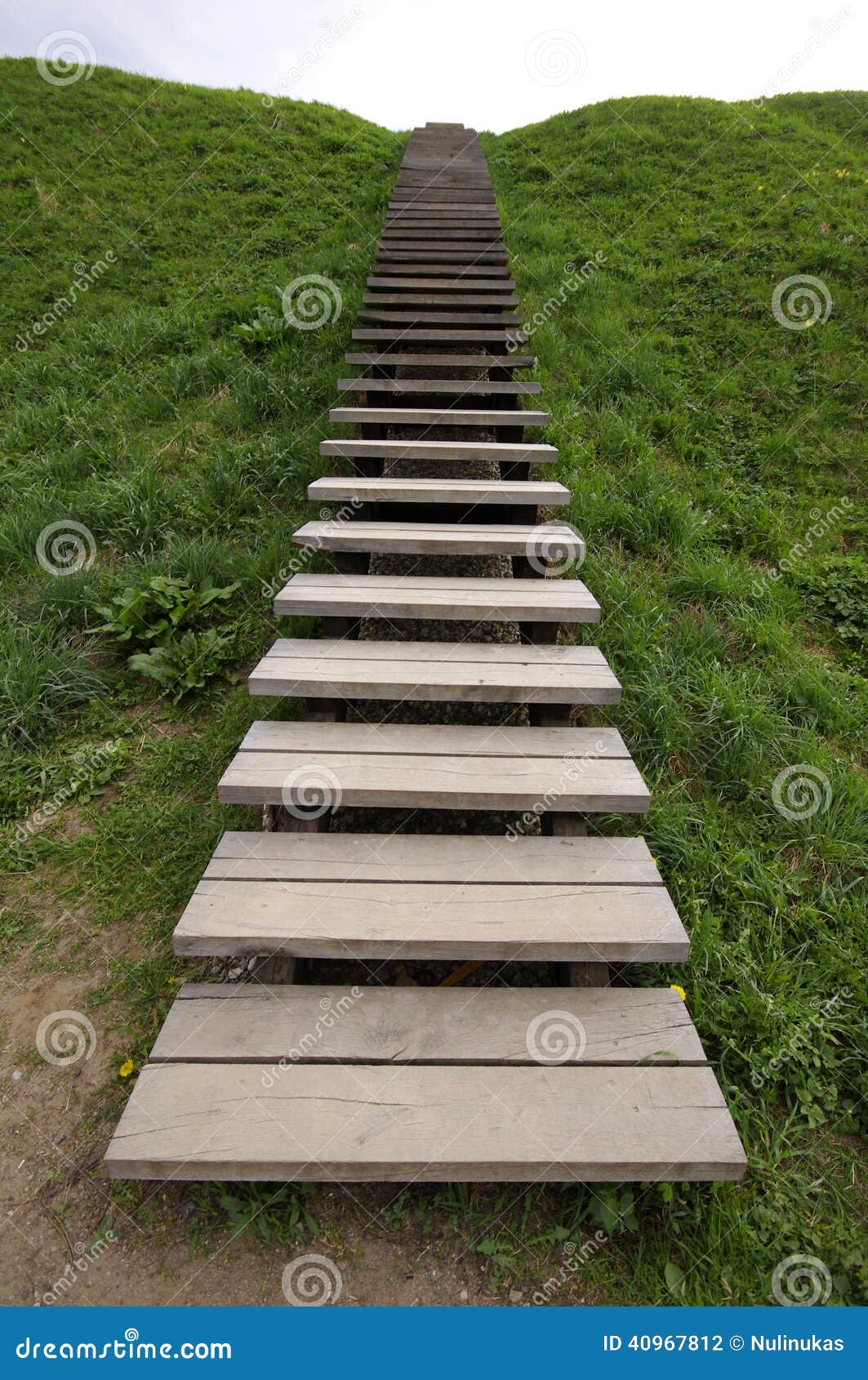 The wooden ladder stock photo. Image of hill, gray, grass - 40967812