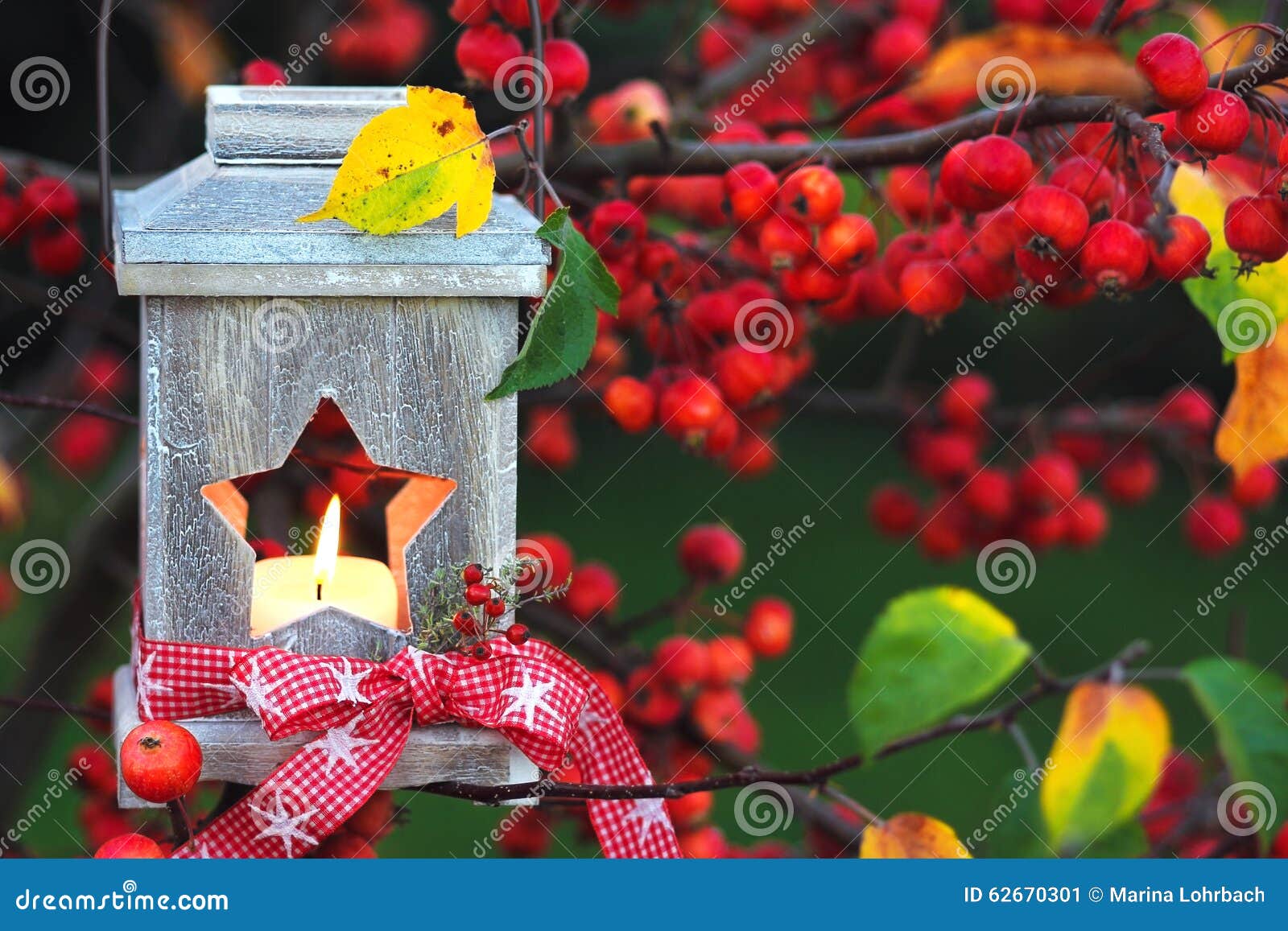 Wooden Lantern with in an Apple Tree. Stock Image - Image of green ...