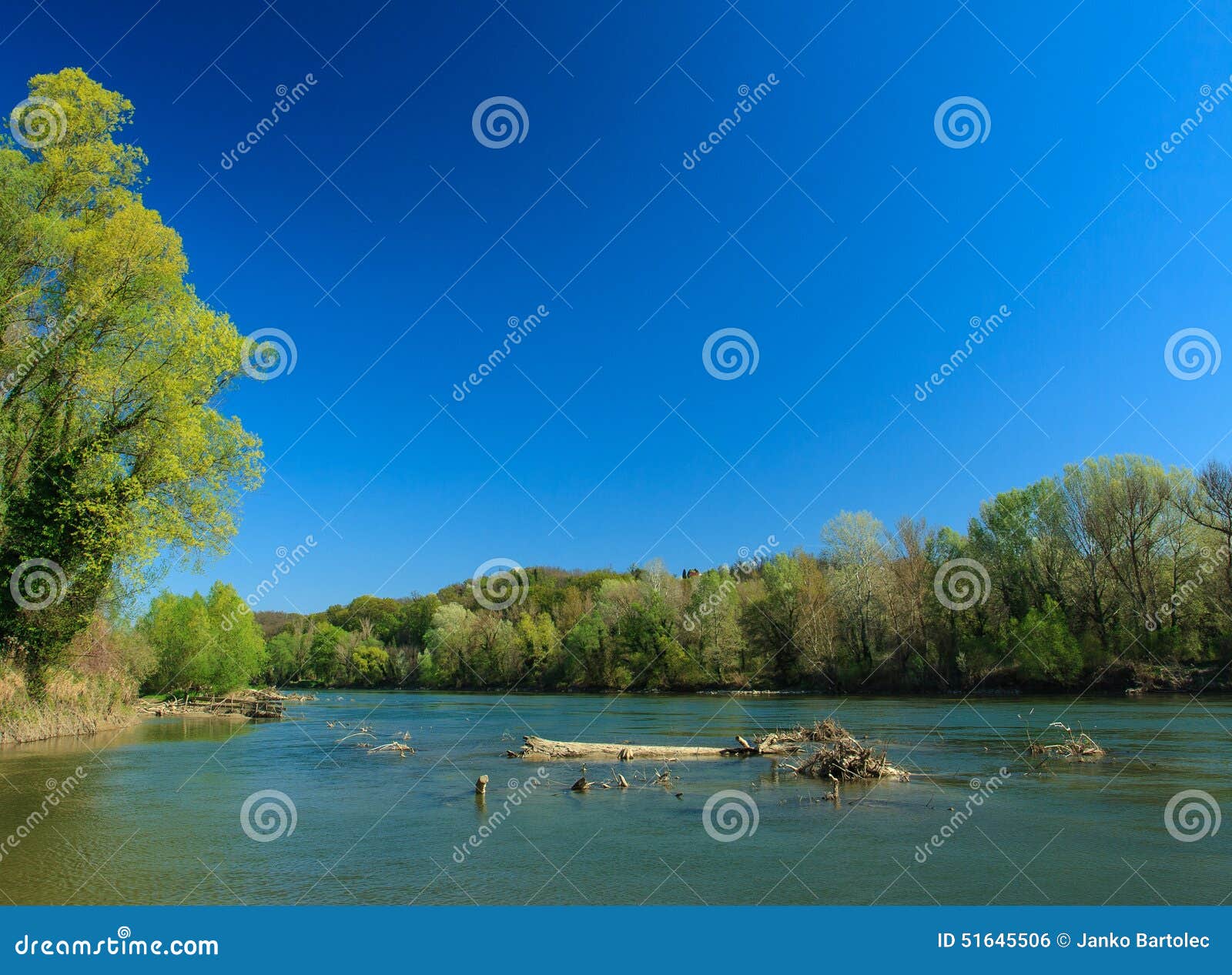 Wooden ledge in river stock photo. Image of clear, wood - 51645506