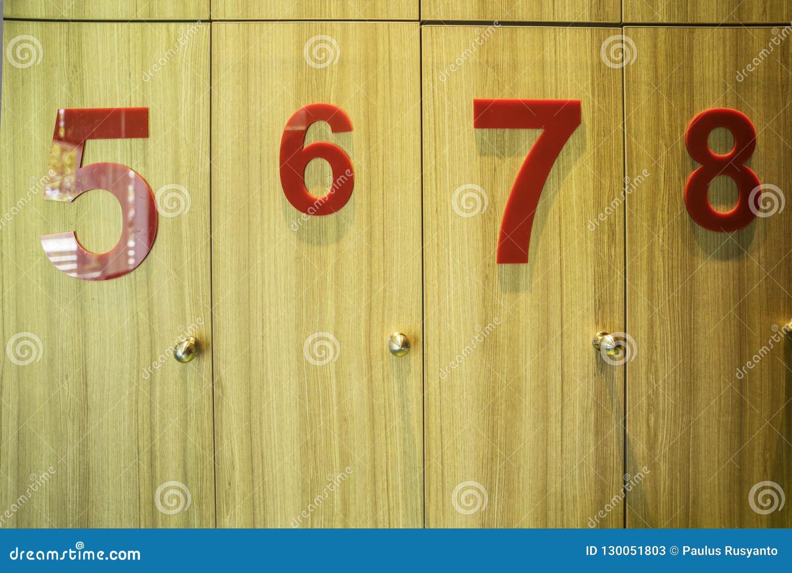 Wooden Locker Room or Dressing Room at Gym Stock Image - Image of ...