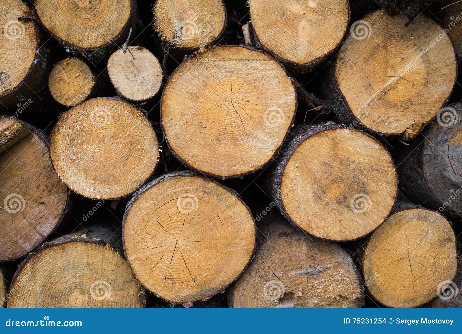 Wooden log background stock photo. Image of texture, logs - 75231254
