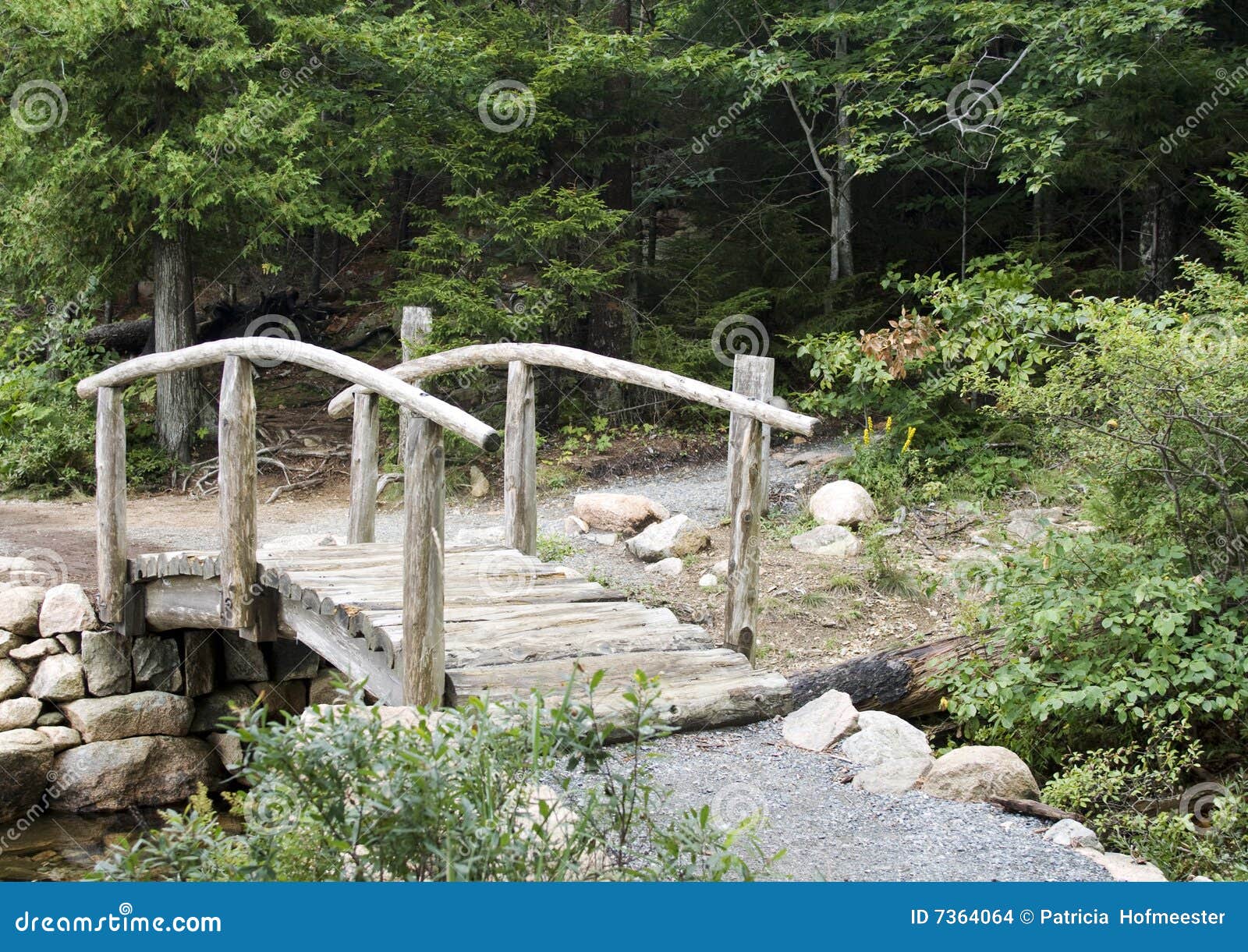 Wooden log bridge stock photo. Image of plants, wooden - 7364064