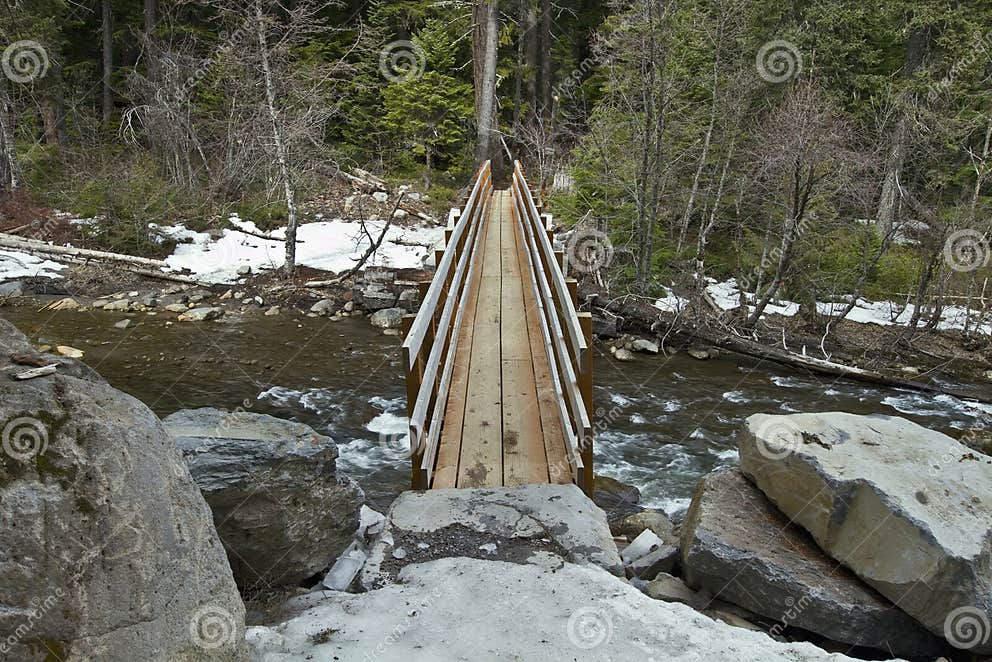 Wooden Log Bridge Over River Stock Photo - Image of streams, trees ...