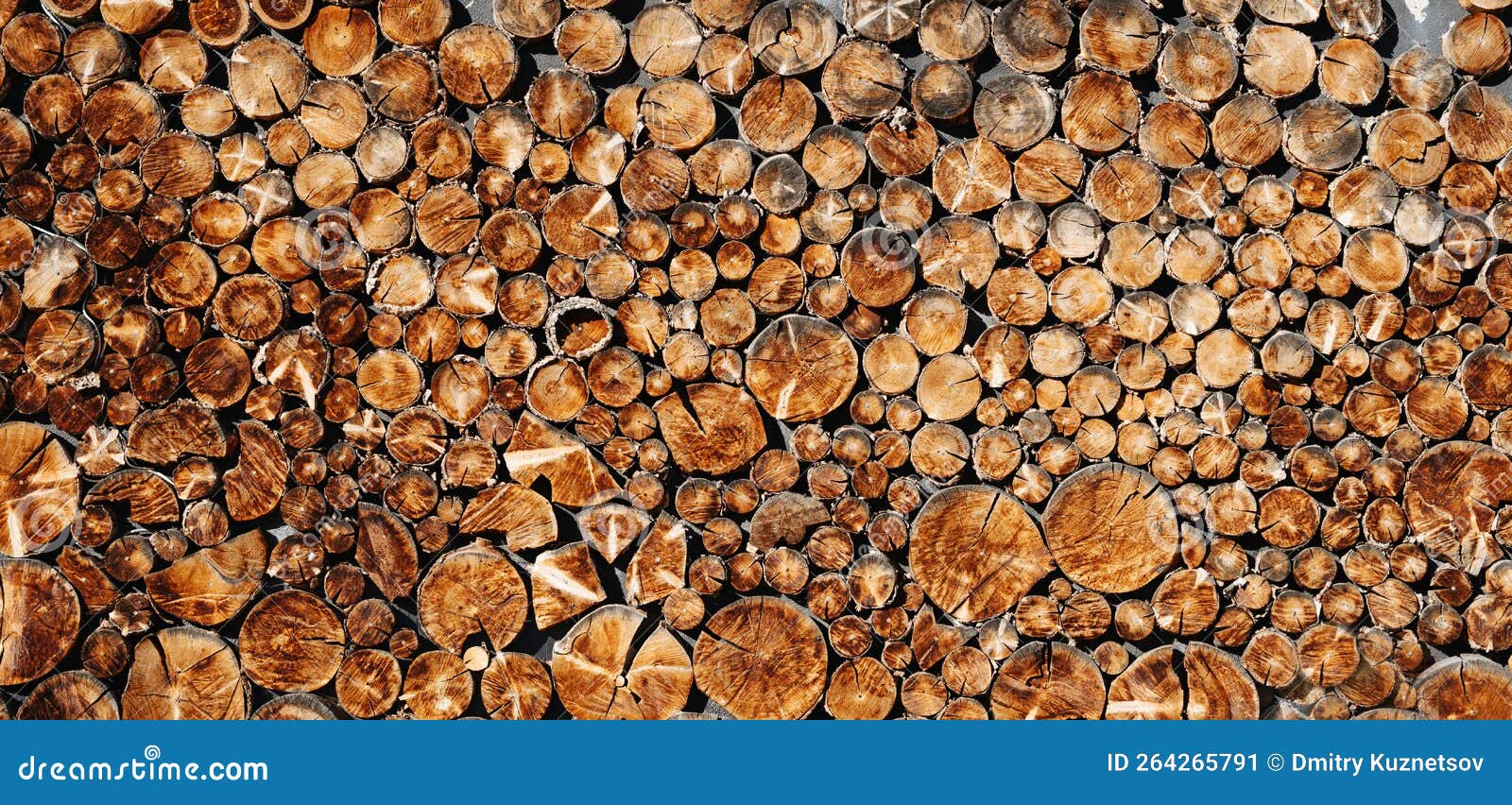 Wooden Log Butts Texture. Huge Stack of Logs of Different Sizes Stock ...