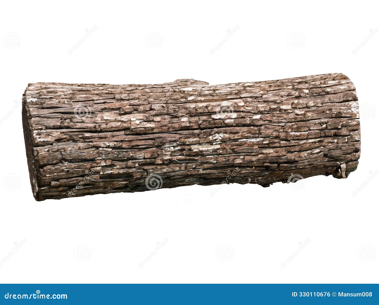 Wooden Log in the Forest. Isolated on White Background Stock Photo ...