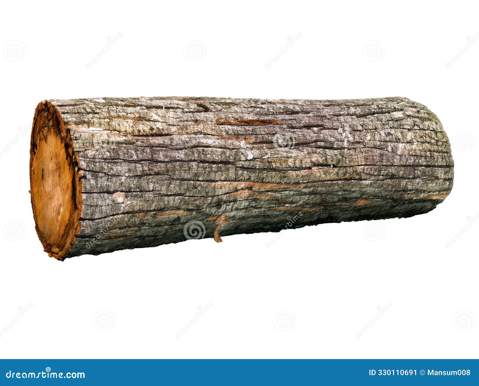 Wooden Log in the Forest. Isolated on White Background Stock Image ...