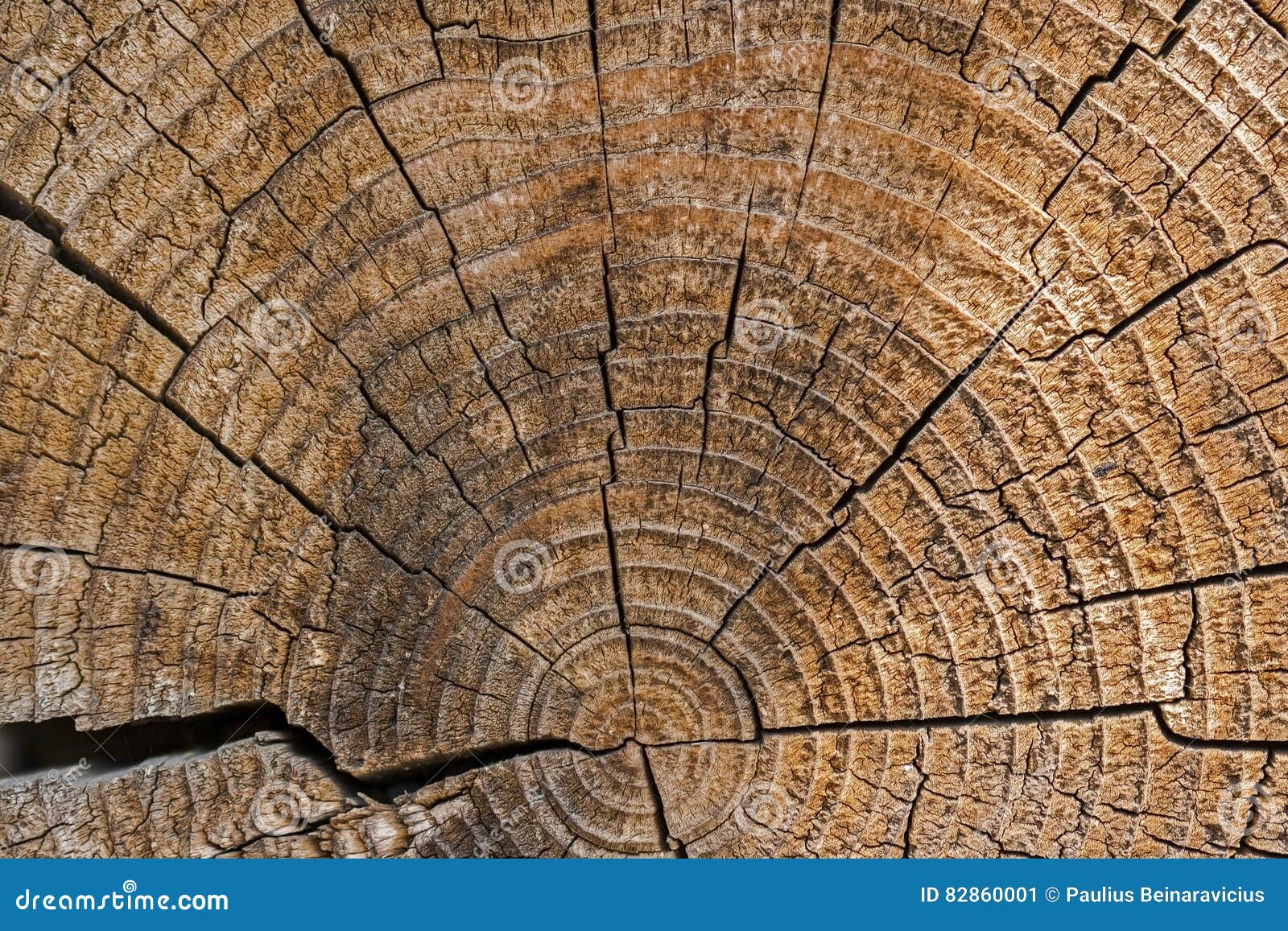 Wooden log grain stock image. Image of natural, structure - 82860001