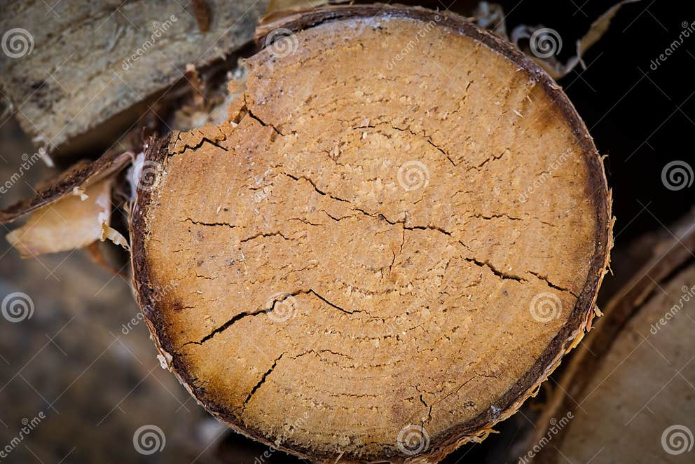 Wooden log grain stock image. Image of grain, frame, table - 82862255