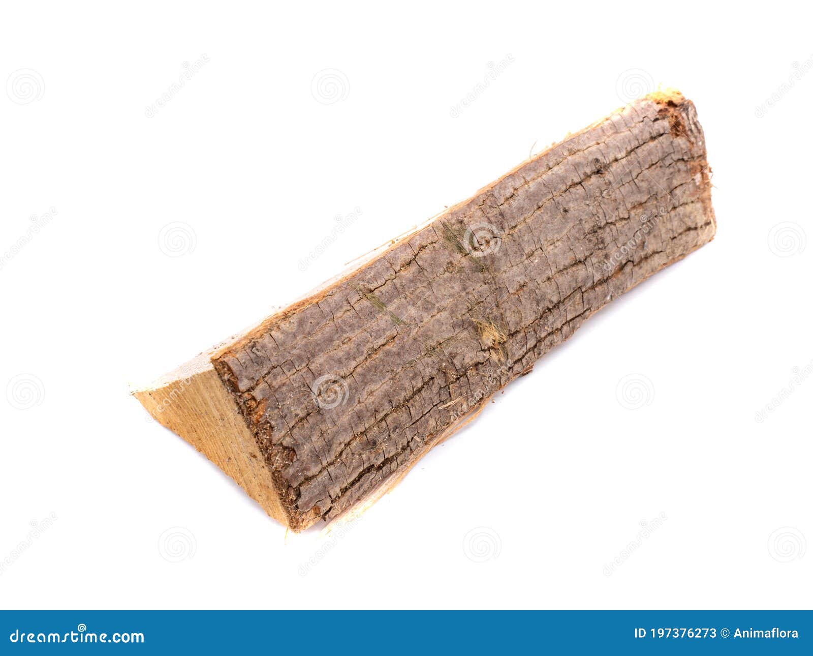 Wooden Log Isolated on White Background Stock Image - Image of bark ...