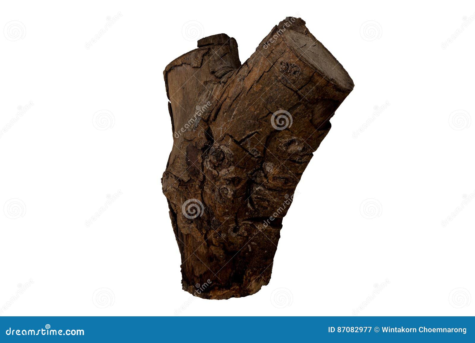 Wooden log isolated stock image. Image of hardwood, object - 87082977