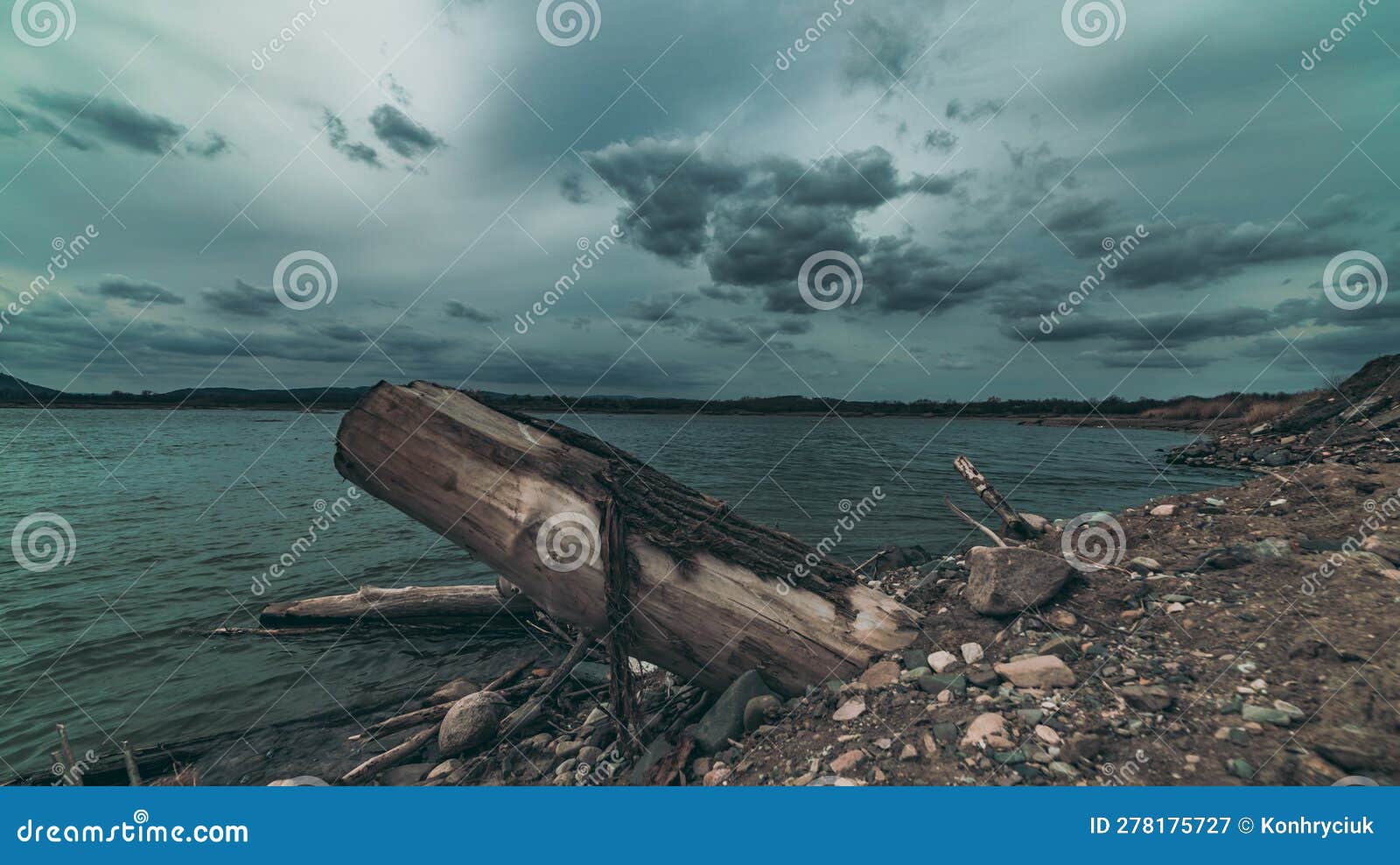 Wooden Log on the Lakeshore at Cloudy Day Stock Image - Image of wooden ...