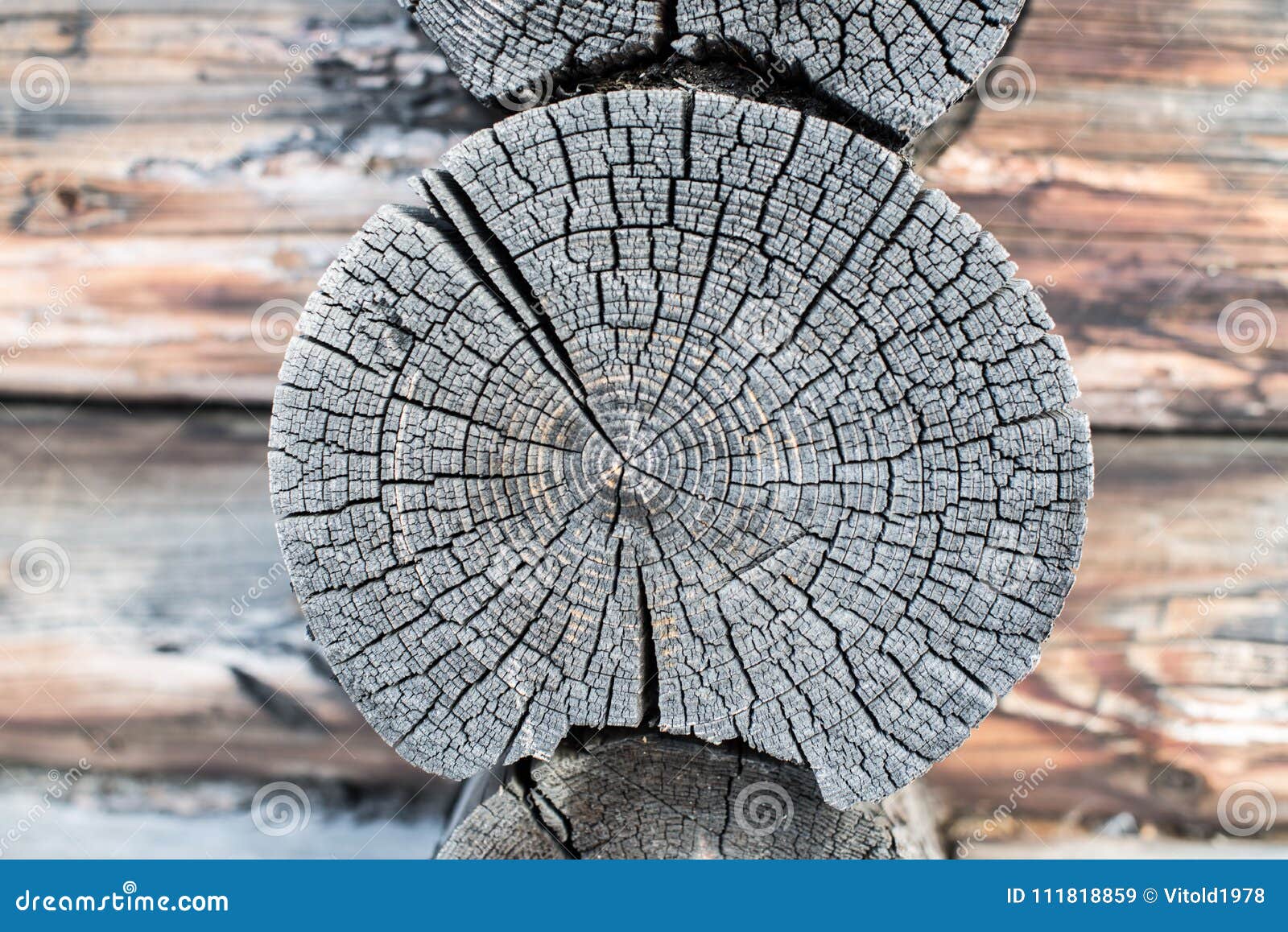 Wooden log texture stock image. Image of industry, decorative - 111818859