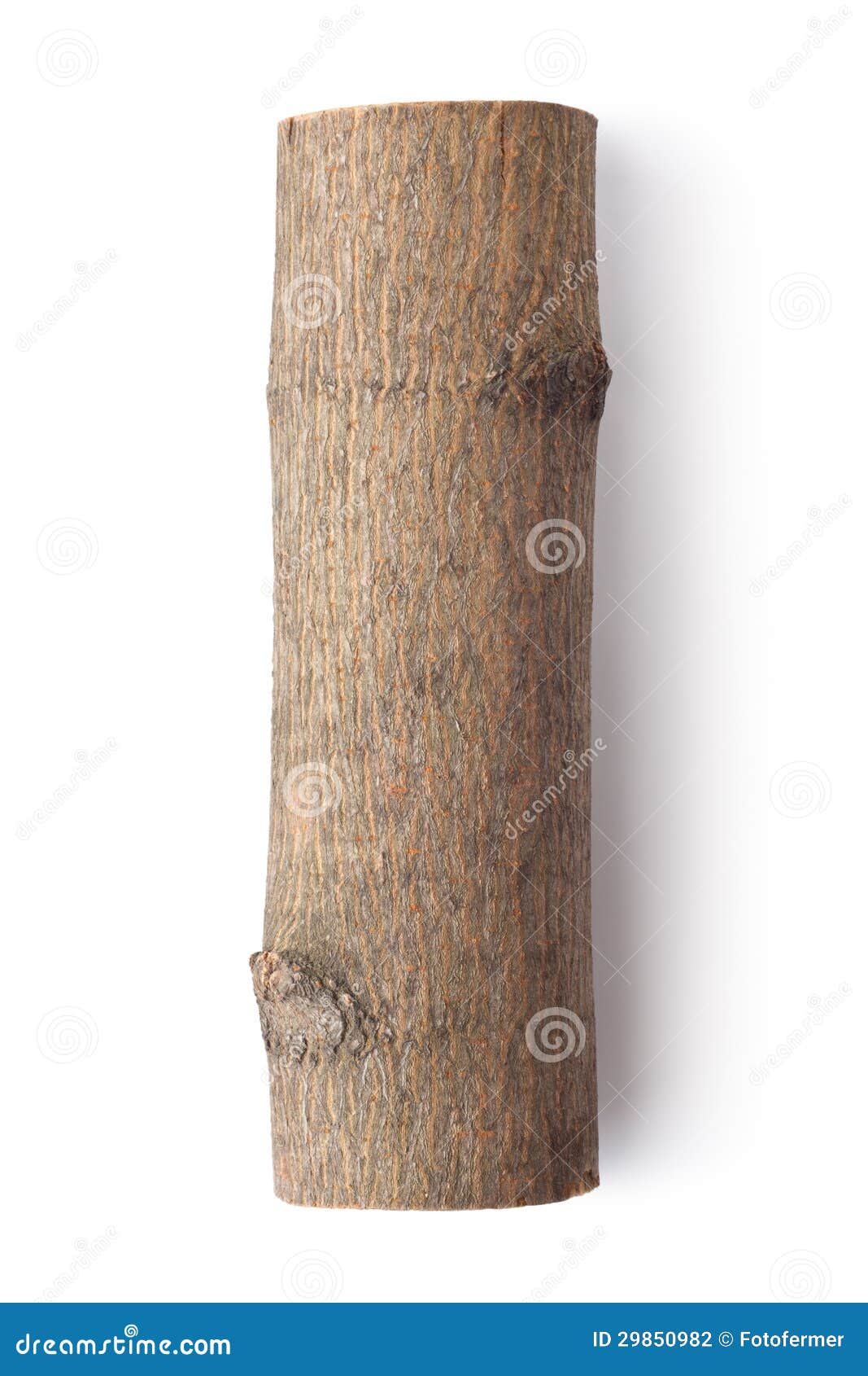 Wooden log. Top view stock photo. Image of lumber, single - 29850982
