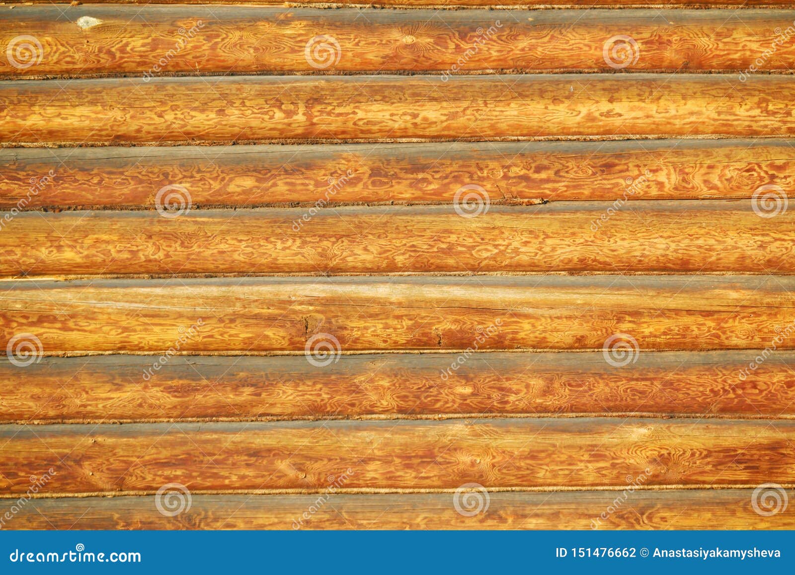 Wooden log wall texture stock photo. Image of rural - 151476662