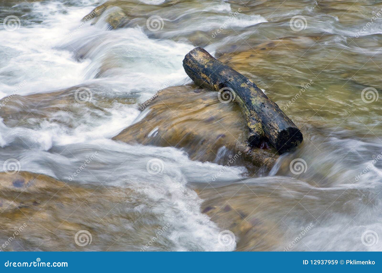 Wooden log in water stock image. Image of stay, fall - 12937959