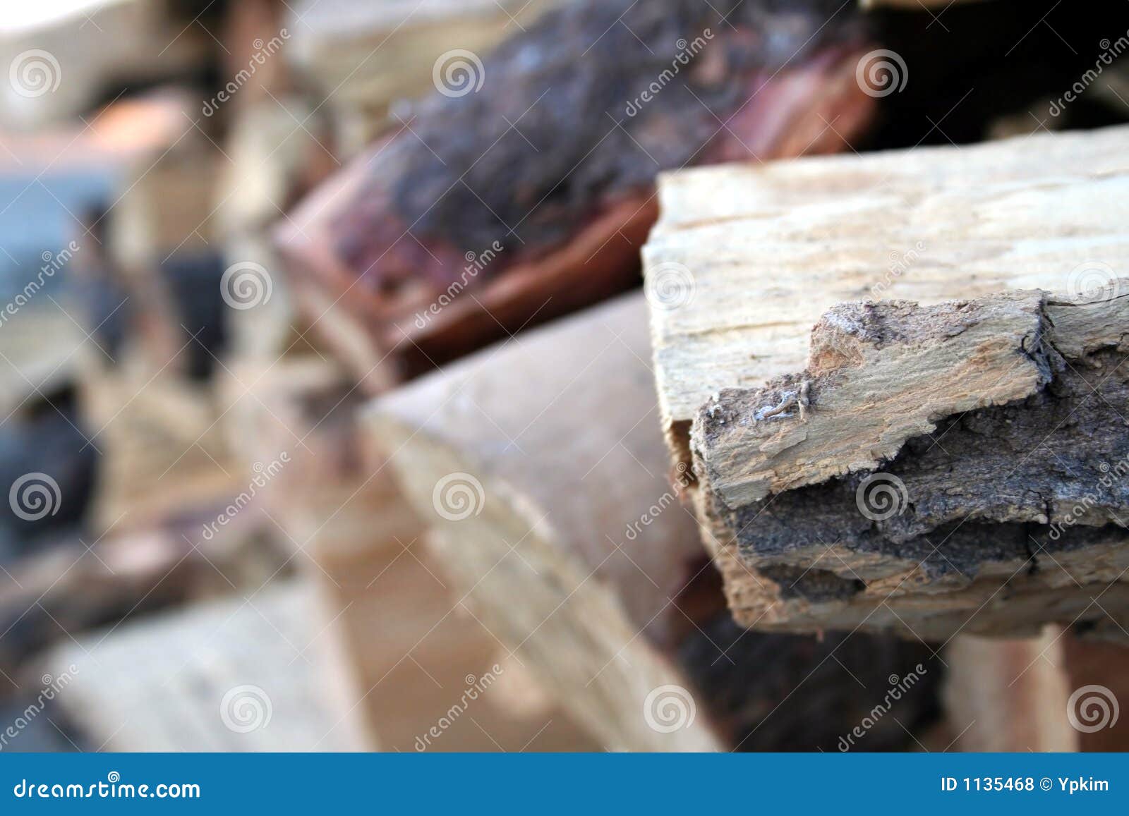 Wooden Logs Fence Background, Palisade Stockade In A Castle ...