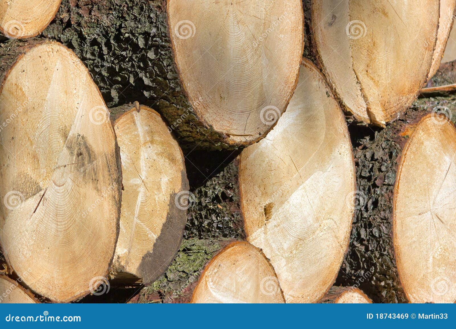 Wooden logs stock image. Image of brown, round, tree - 18743469