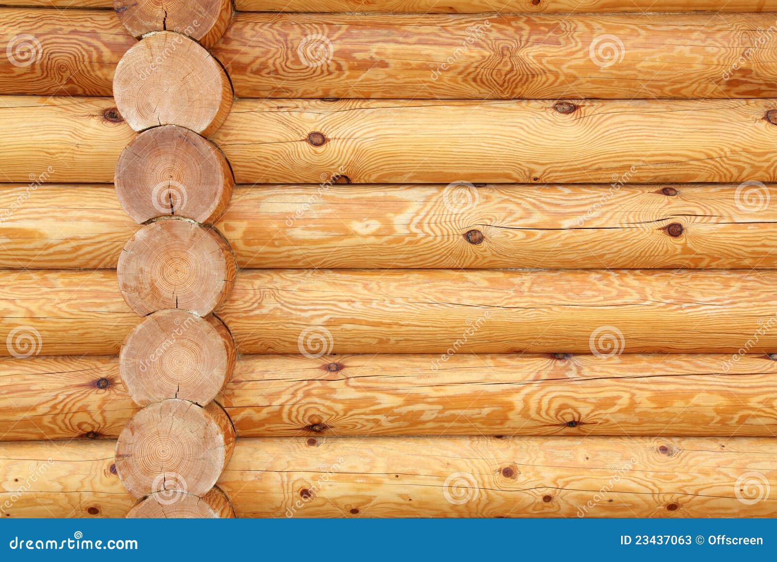 Wooden logs stock image. Image of circle, timber, round - 23437063