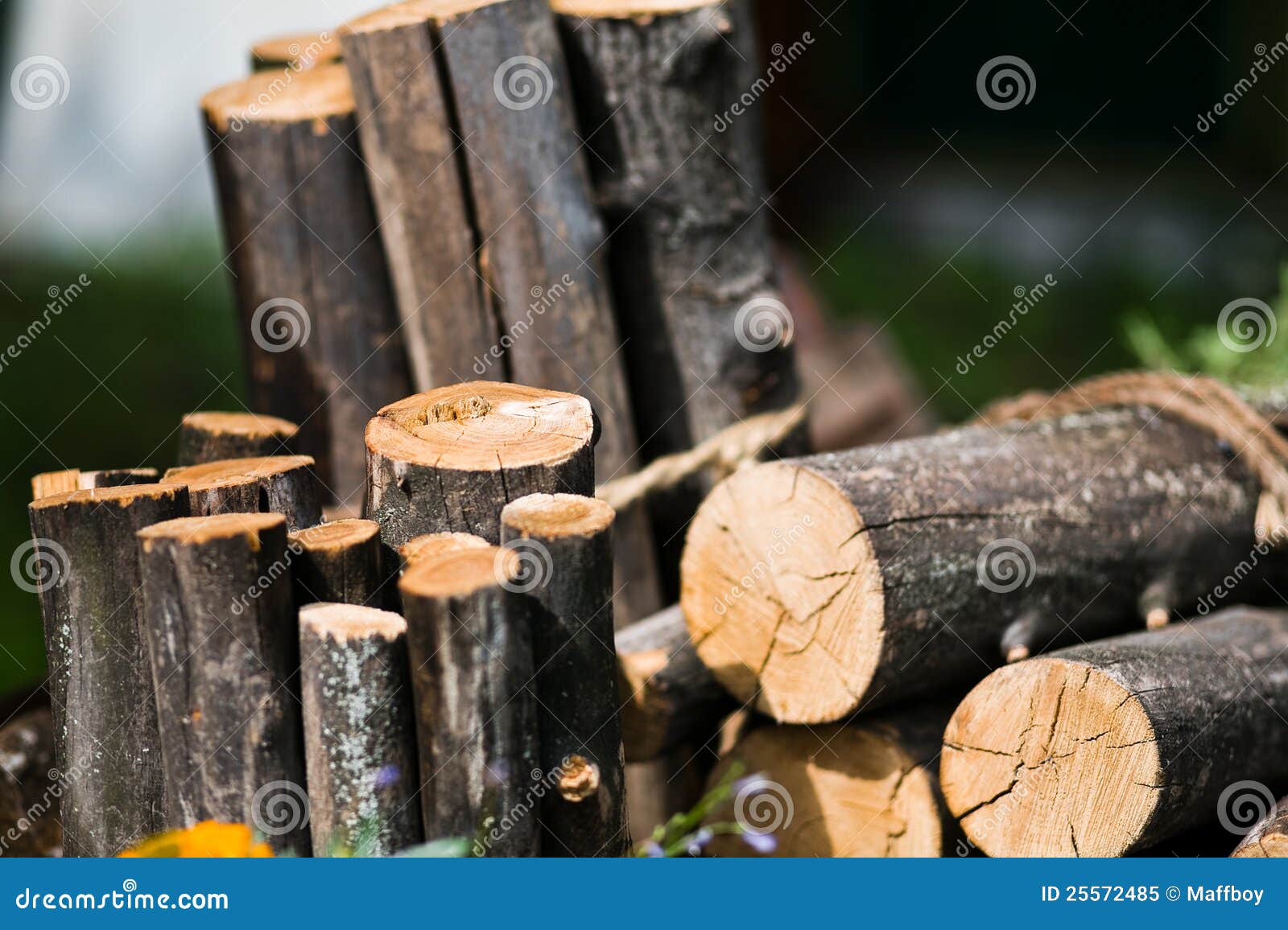 Wooden logs stock image. Image of green, wide, textured - 25572485