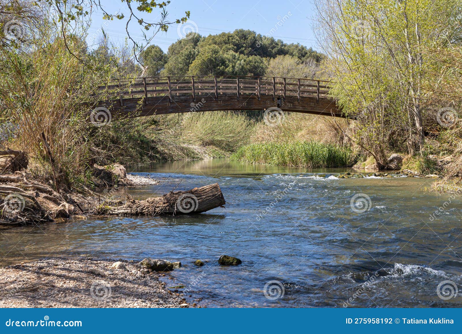 Wooden Logs Bridge Over the River in the Forest Stock Photo - Image of ...