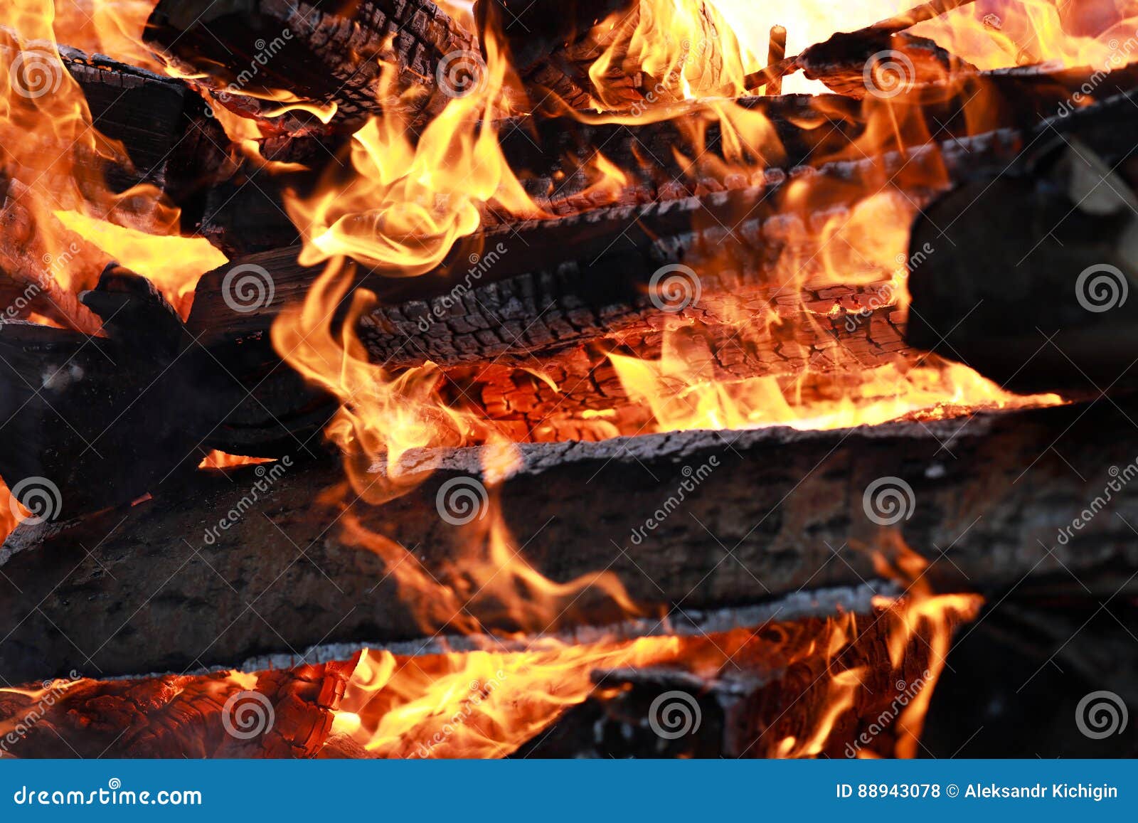 Wooden Logs Burn with a Bright Flame in the Fire Stock Photo - Image of ...