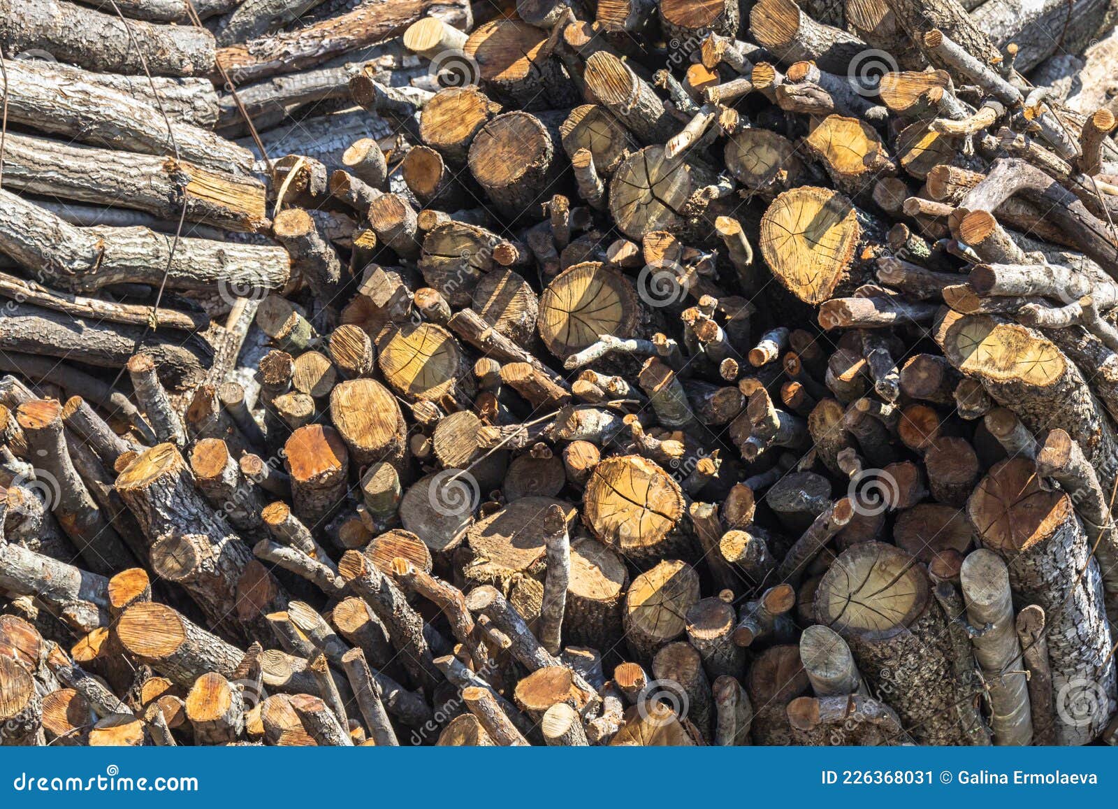Wooden Logs of Different Sizes Tied and Stacked Stock Image - Image of ...