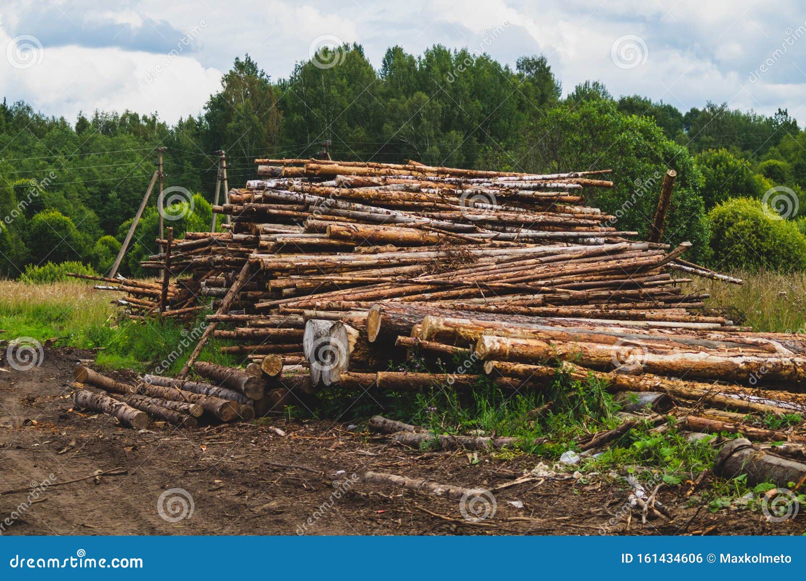 Wooden Logs in the Forest. Chopped Tree Logs Stack Stock Photo - Image ...