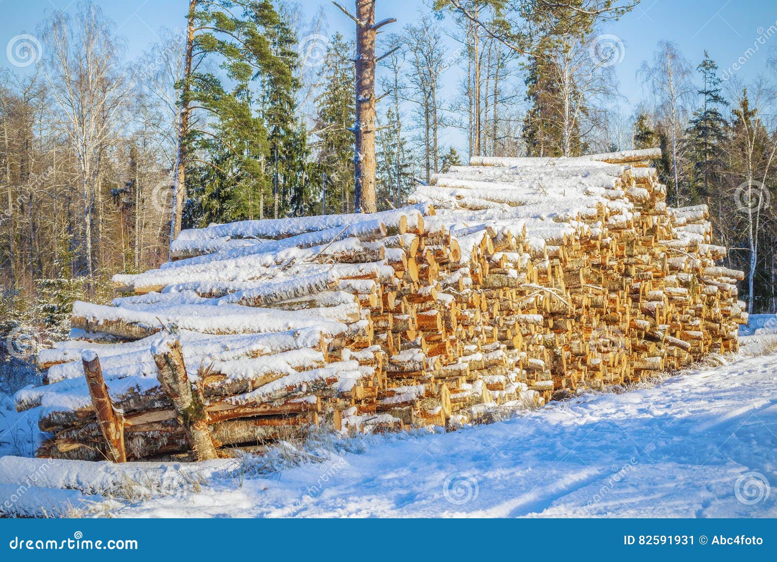 Wooden Logs in Forest Covered with Snow Stock Image - Image of industry ...