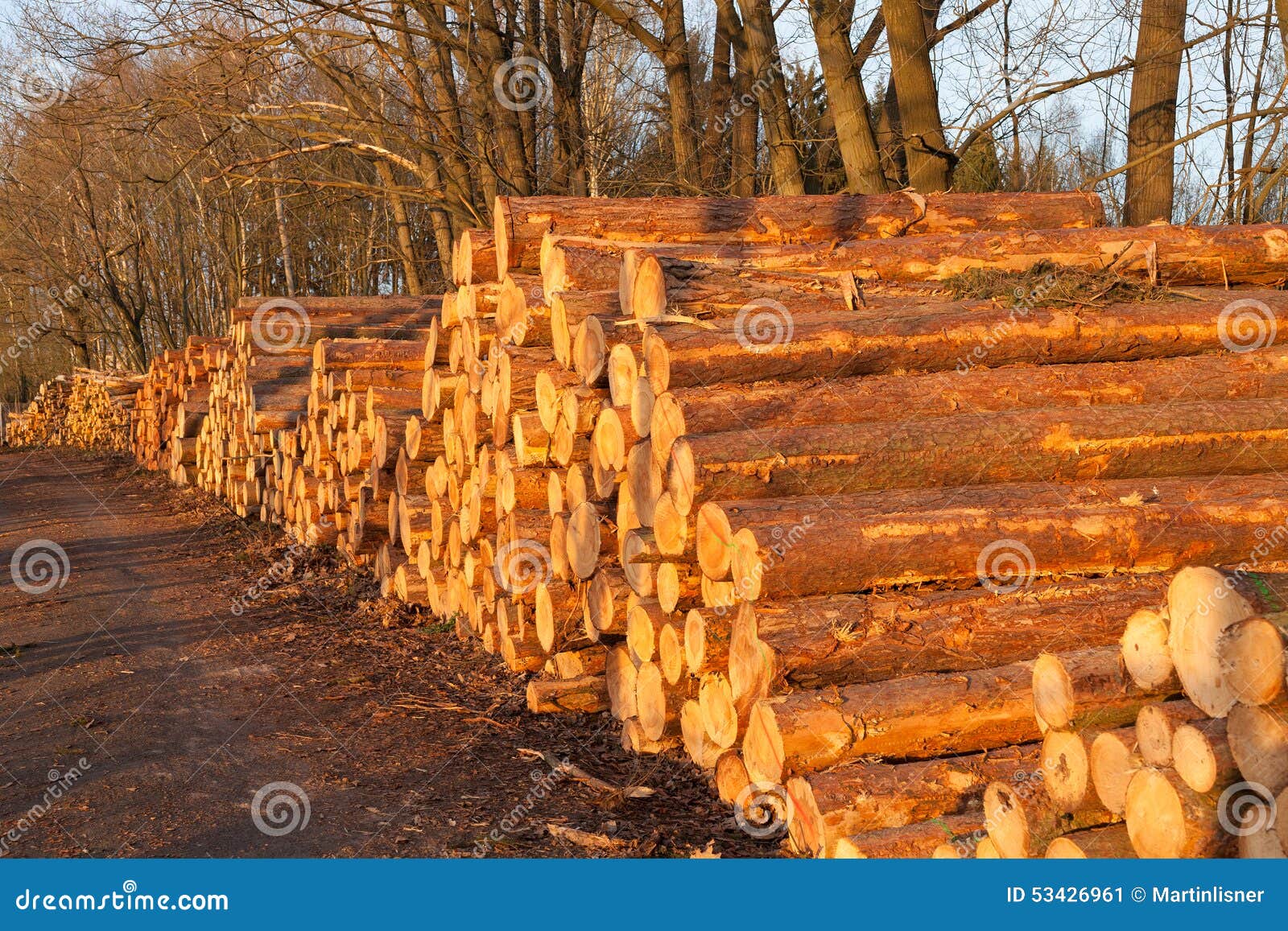Wooden logs stock image. Image of bark, hardwood, brown - 53426961