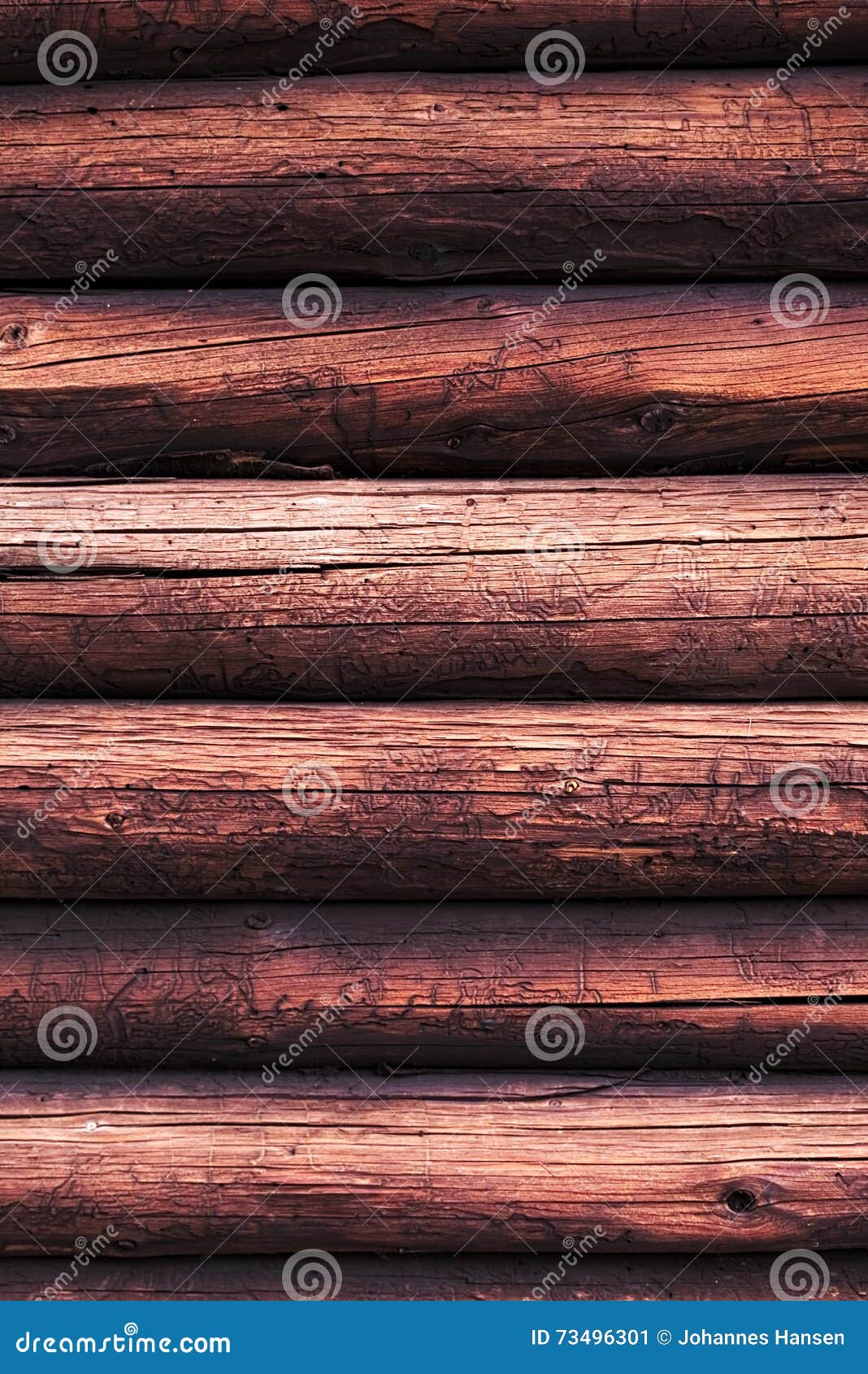 Wooden Logs with a Groove and Hole Structure Made by Insects Stock ...