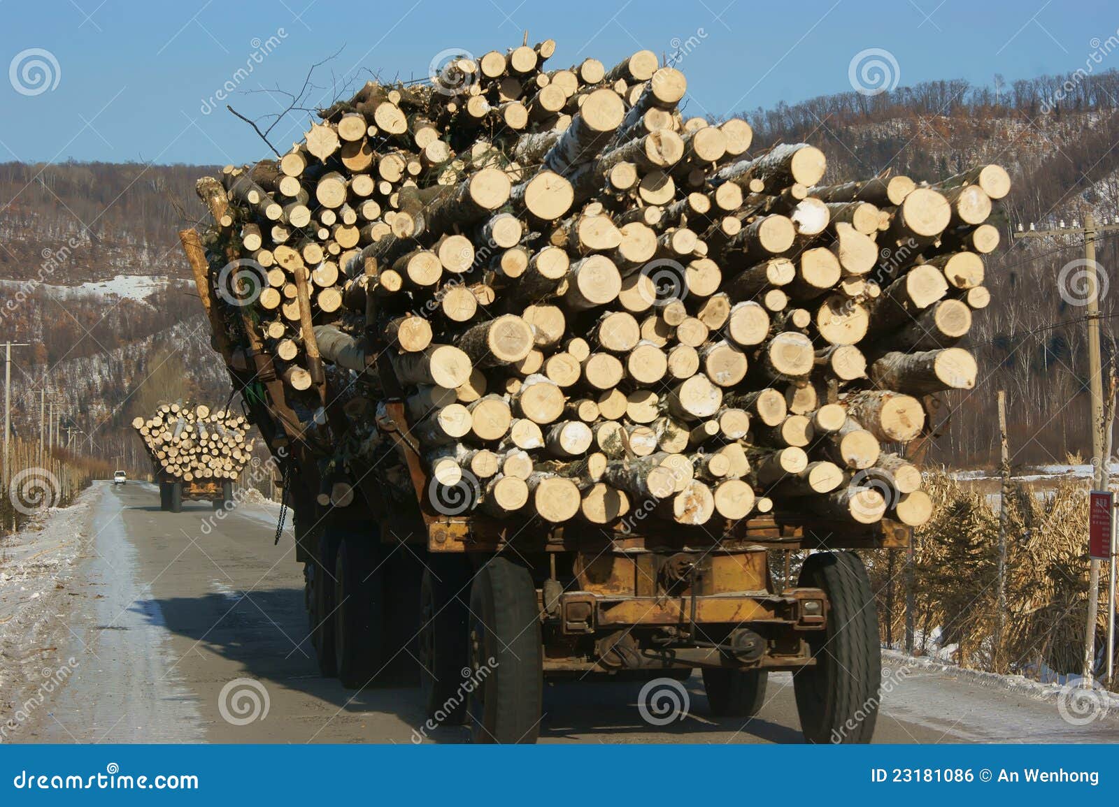 Wooden Logs on Logging Truck Trailer Stock Photo - Image of harvest ...