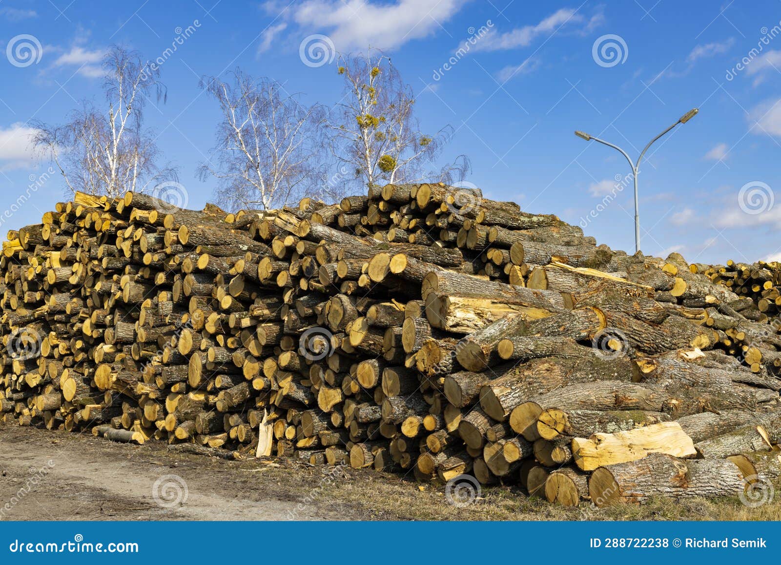 Wooden Logs on the Open Air Stock Photo - Image of natural, woodstack ...