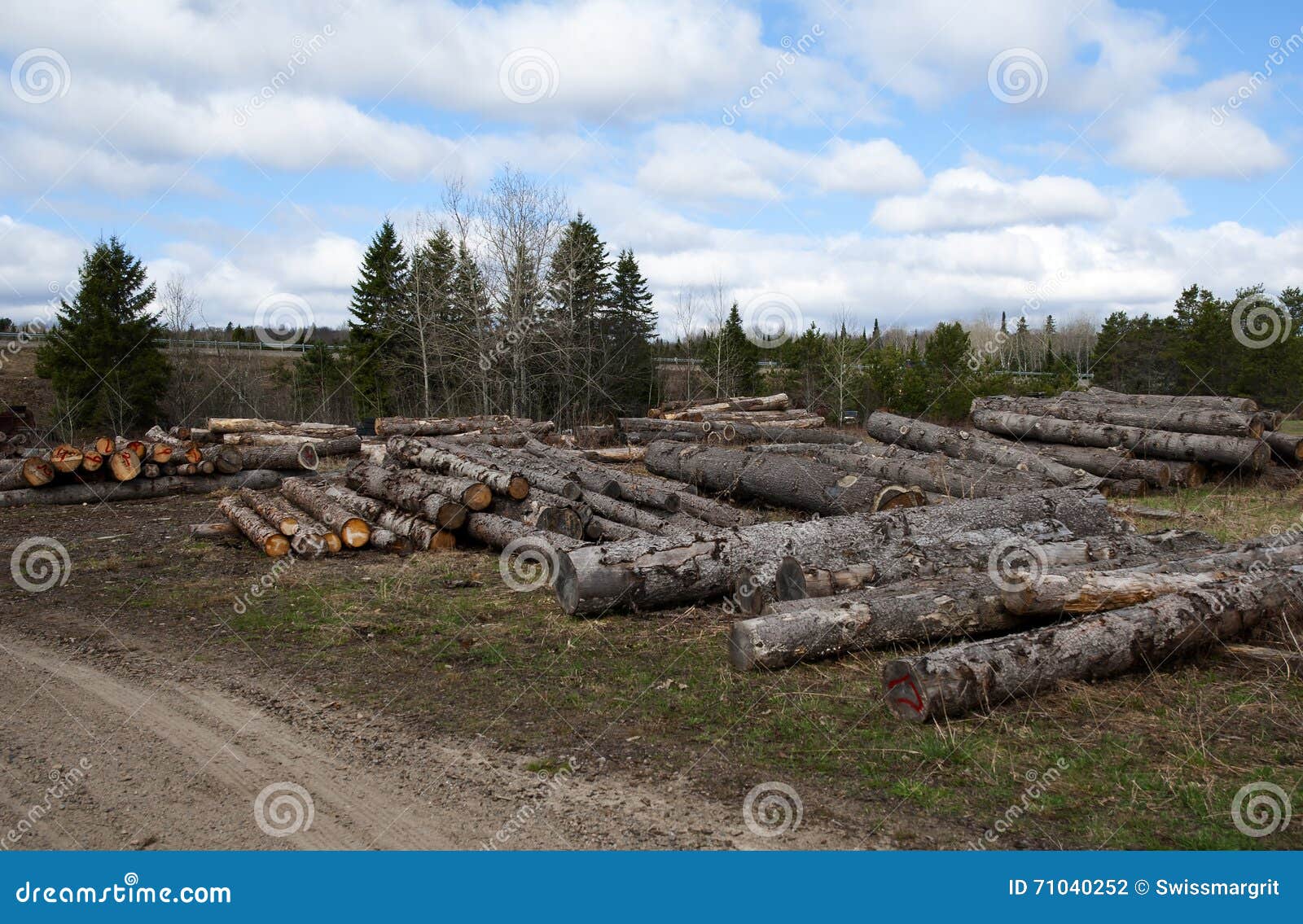 Wooden Logs Out in the Country Stock Photo - Image of field, nature ...