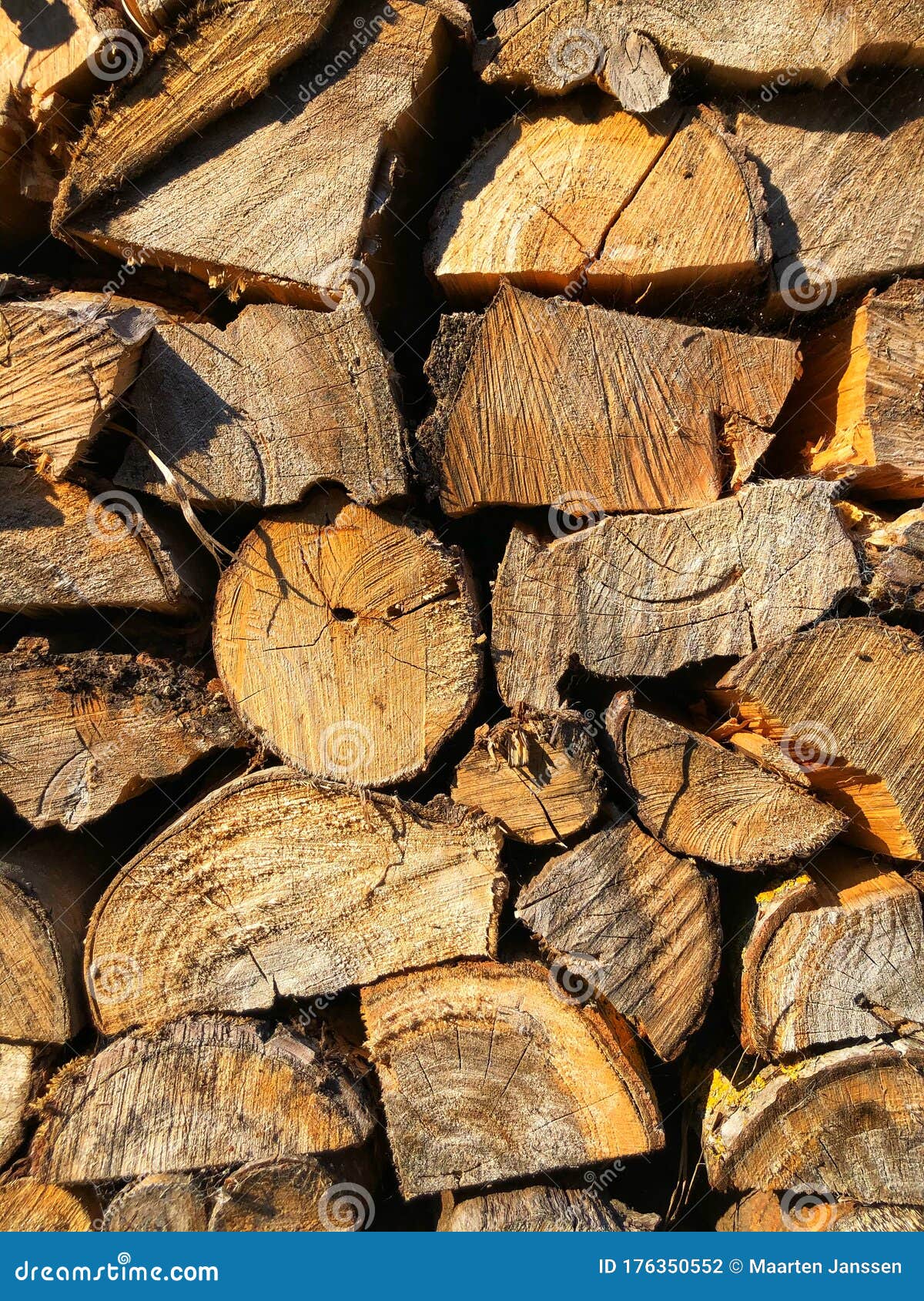 Wooden logs stock photo. Image of wooden, wood, stack - 176350552