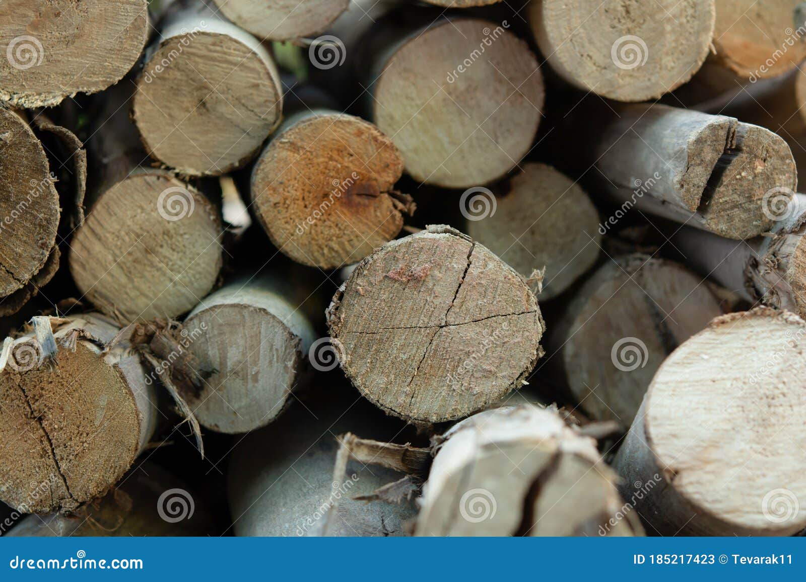 Wooden Logs Stack, Tree Stumps Background Stock Image - Image of pine ...