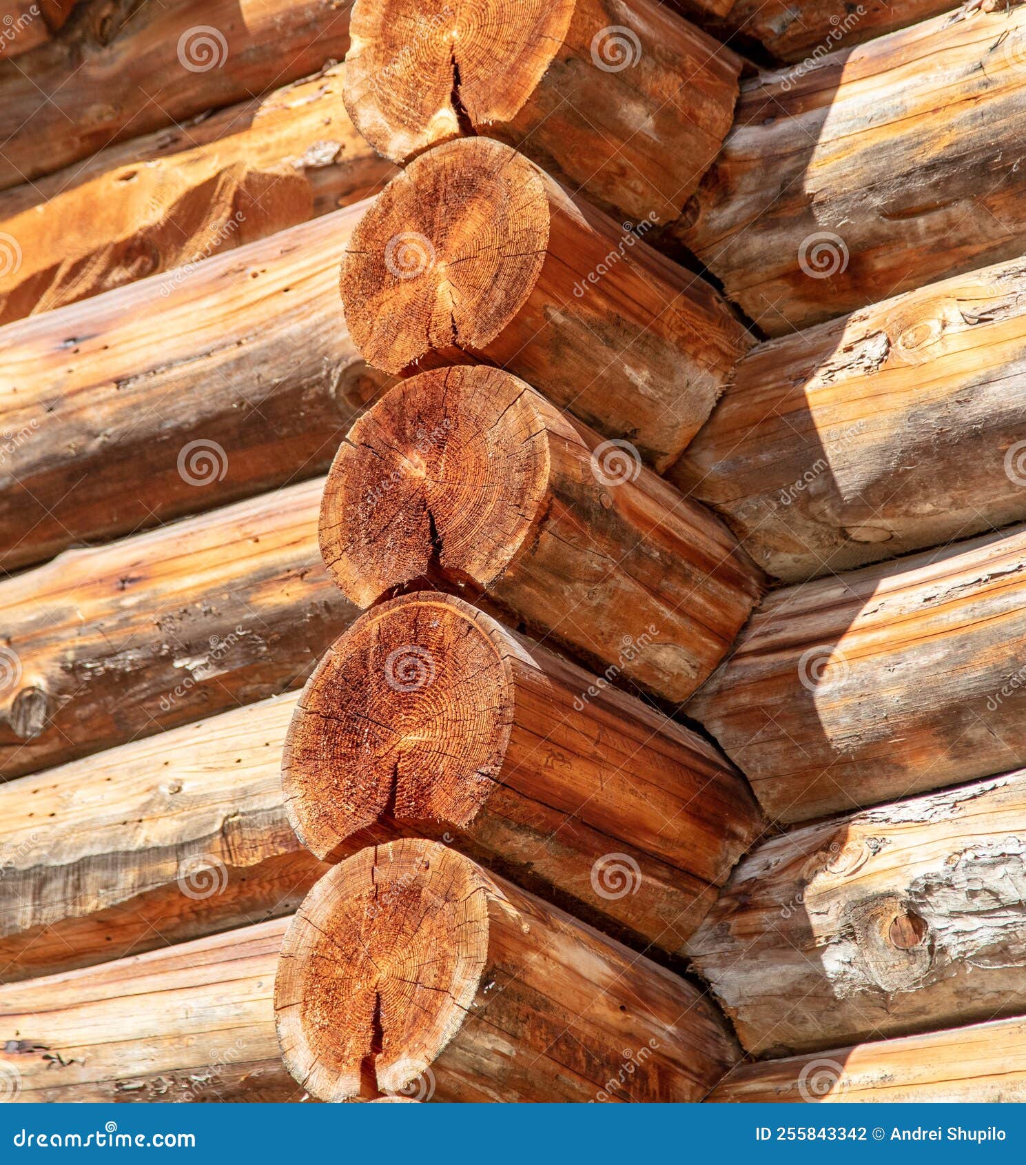 Wooden Logs on the Wall from the Log House. Stock Photo - Image of ...