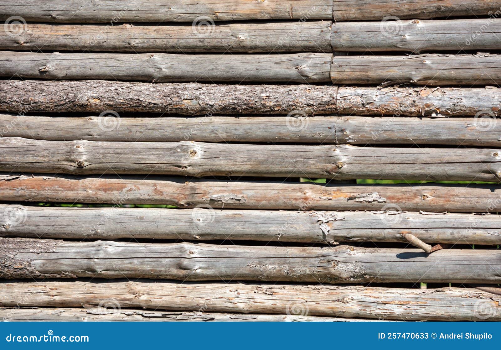 Wooden Logs on the Wall from the Log House. Stock Image - Image of ...
