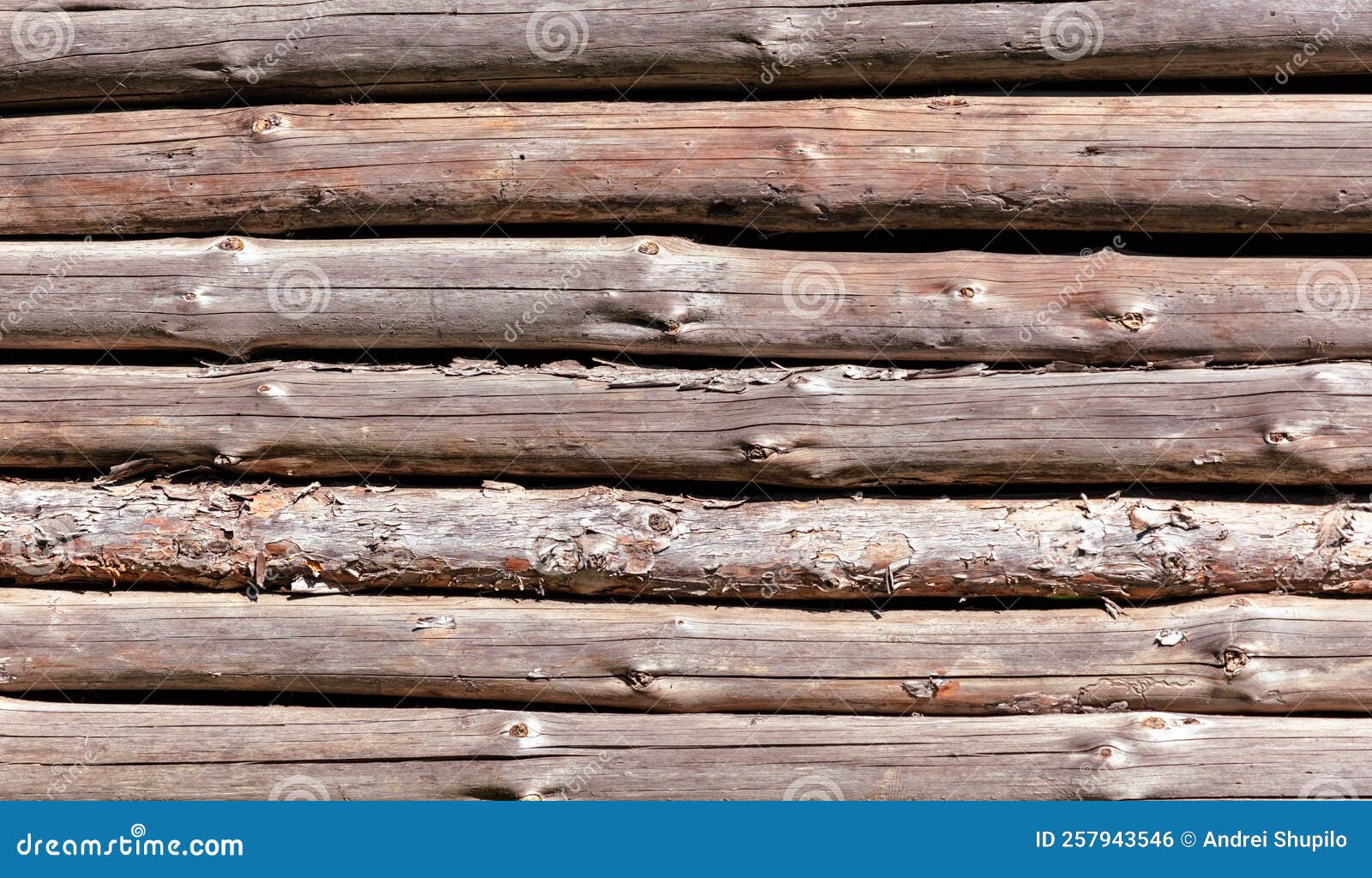 Wooden Logs on the Wall from the Log House. Stock Photo - Image of ...