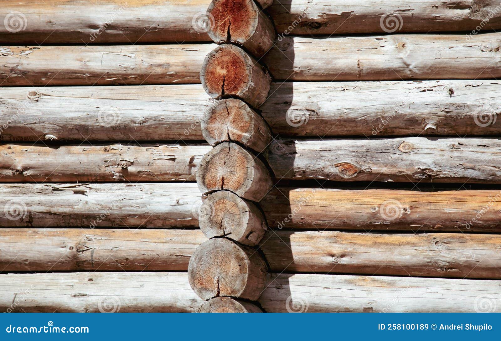 Wooden Logs on the Wall from the Log House. Stock Image - Image of ...