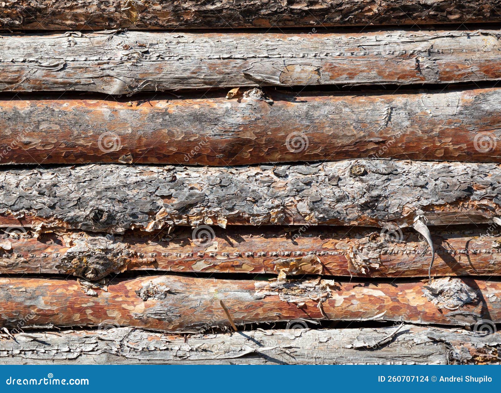 Wooden Logs on the Wall from the Log House. Stock Photo - Image of ...