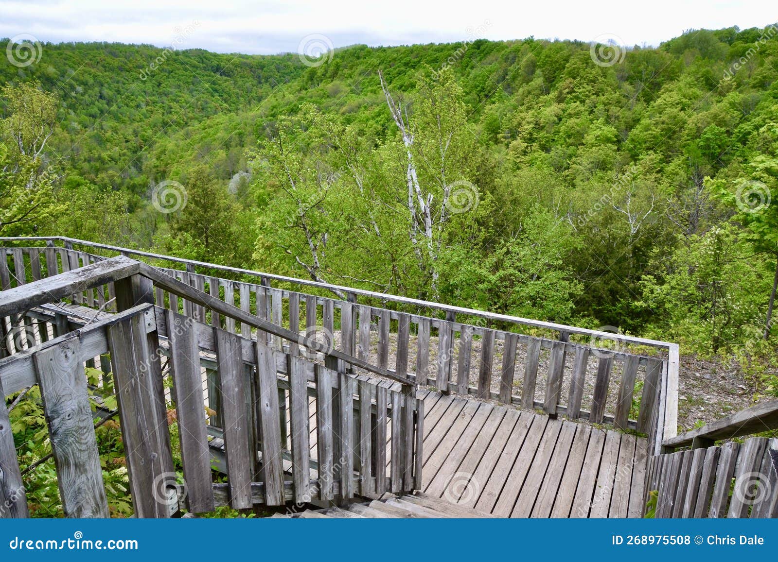 Wooden Lookout Platform on Hilltop at Devil S Glen Stock Photo - Image ...