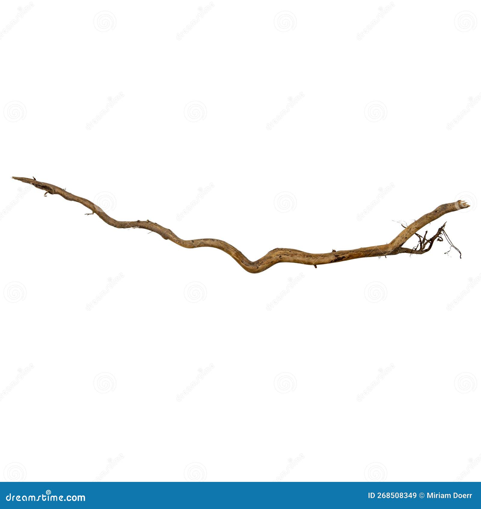 Wooden Magic Wand in the Shape of a Branch Stock Image - Image of ...