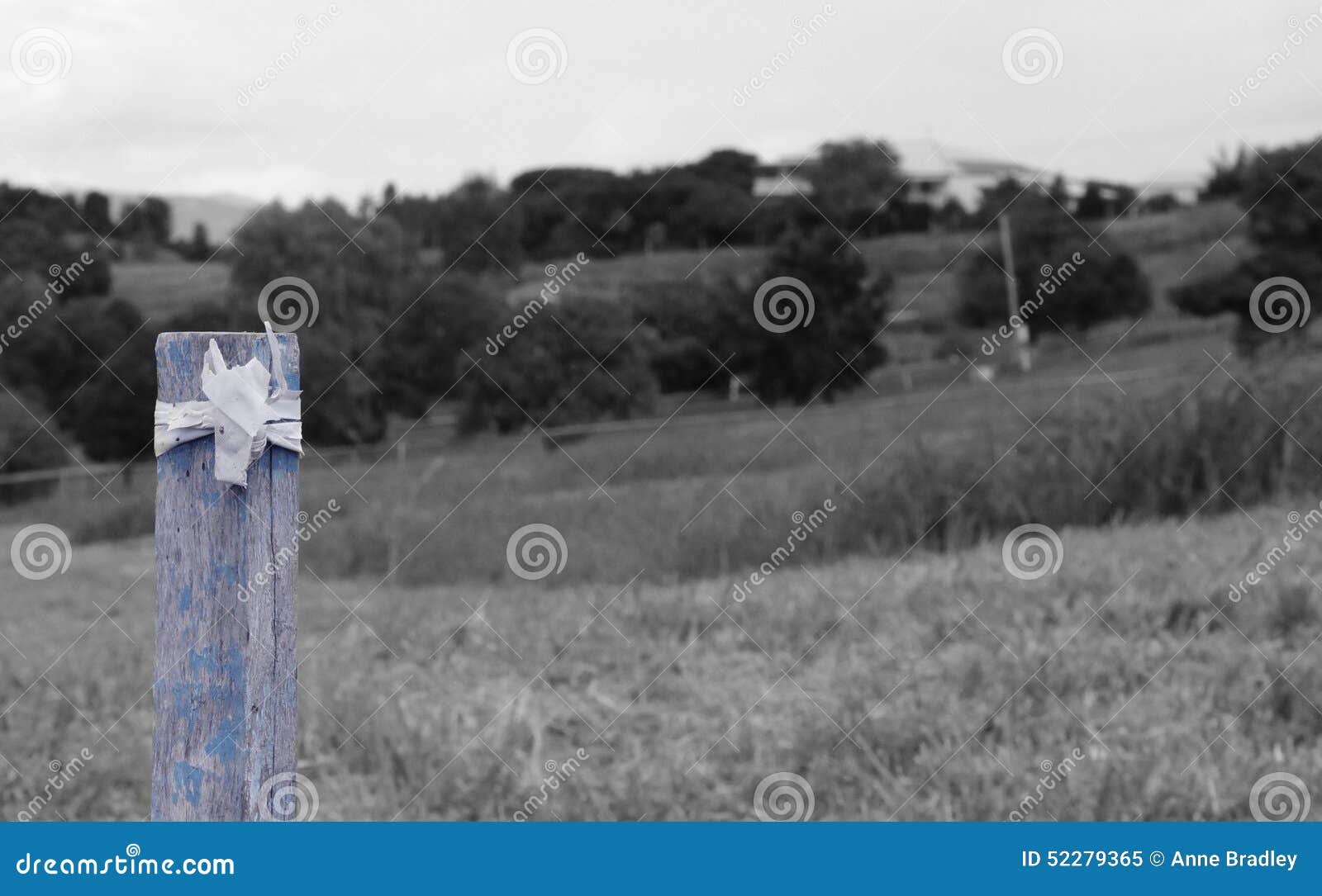 Wooden marker post stock image. Image of estate, eucalypt - 52279365