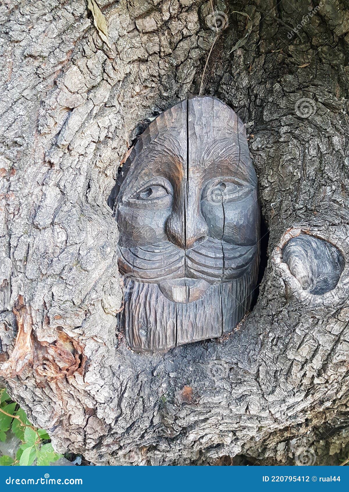 Wooden mask on a tree stock photo. Image of culture - 220795412