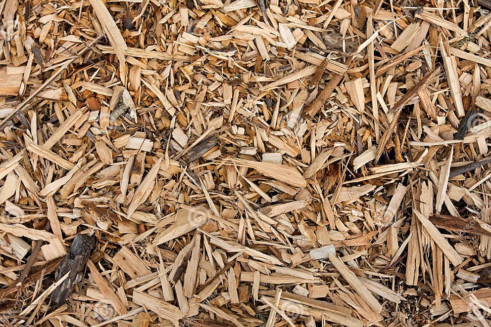 Wooden mulch stock photo. Image of mulch, recycling, shredded - 4721836