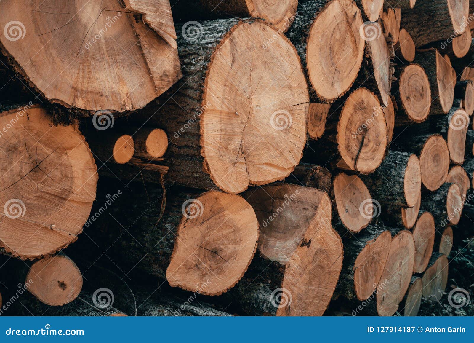 Wooden natural cut logs stock image. Image of wooden - 127914187