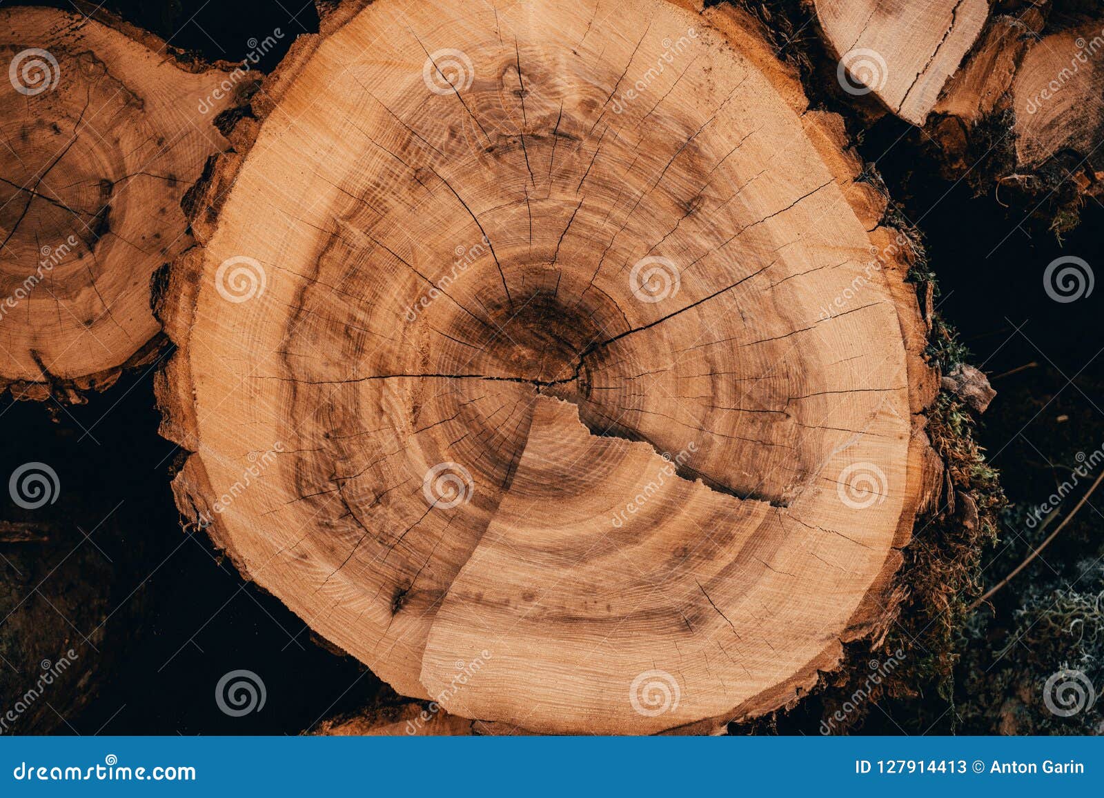Wooden natural cut logs stock image. Image of natural - 127914413