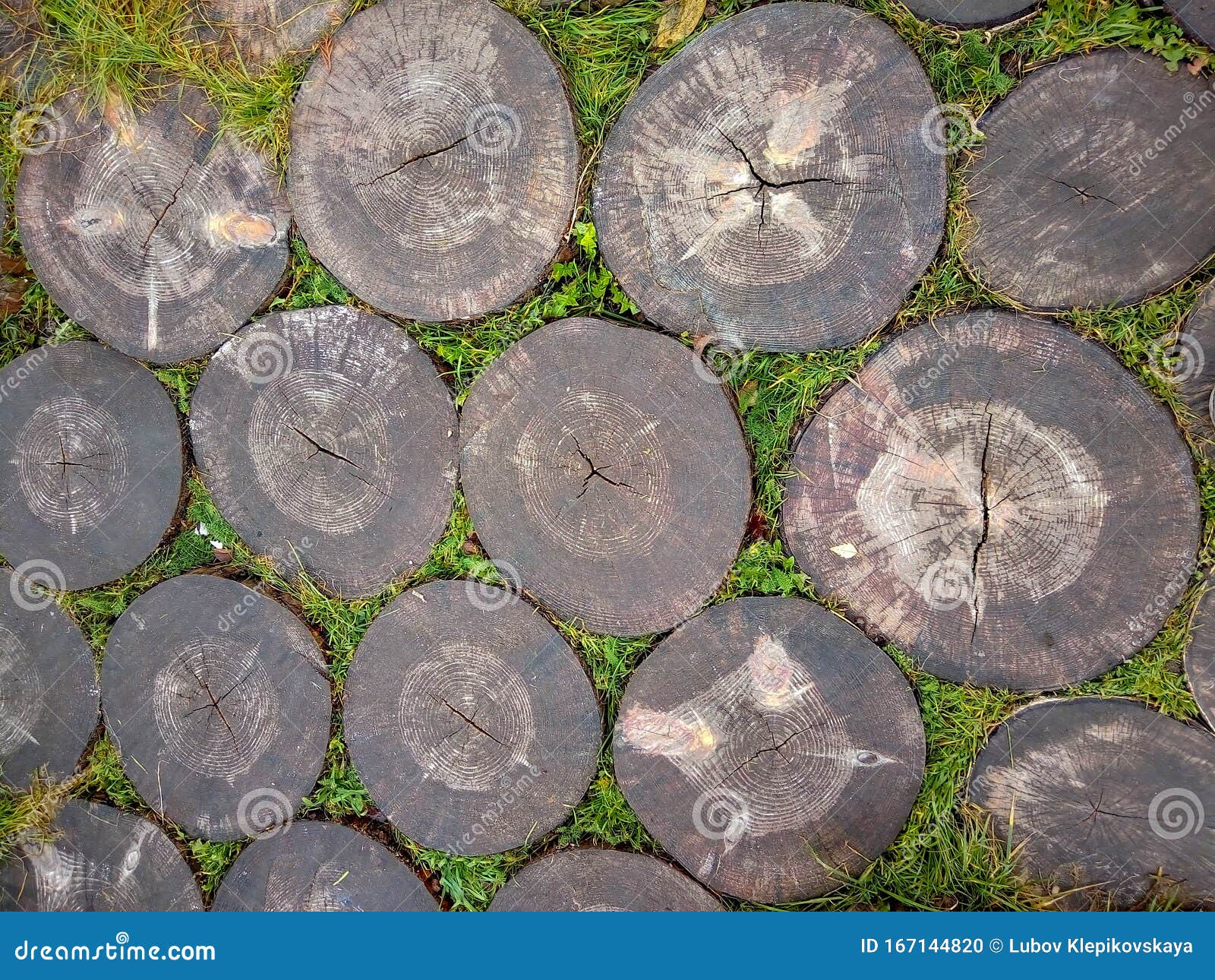Wooden Natural Sawn Logs As Background, Top View, Flat Lay Stock Photo ...