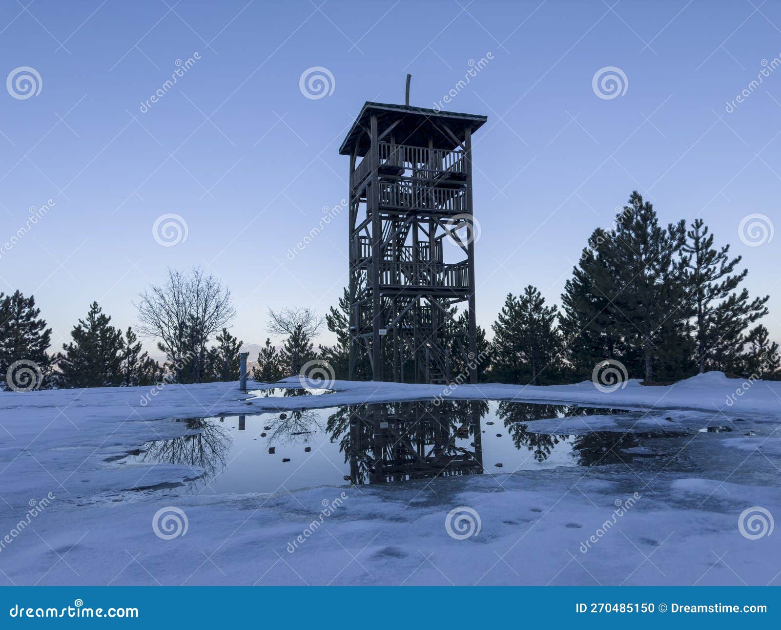 Wooden Navigation and Observation Structure in the Forest Area Stock ...